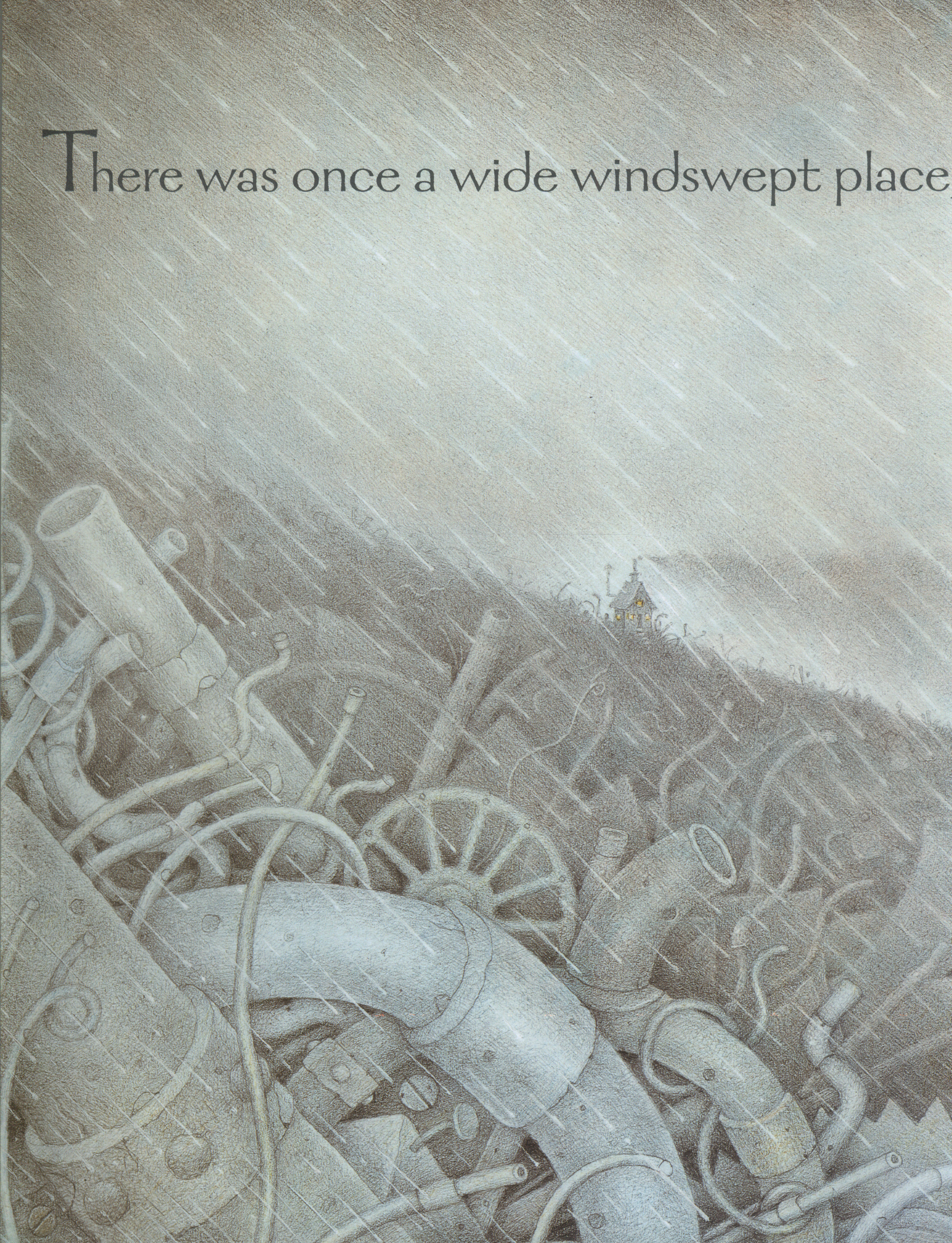 The tin forest by Ward, Helen (9781848776678) | BrownsBfS