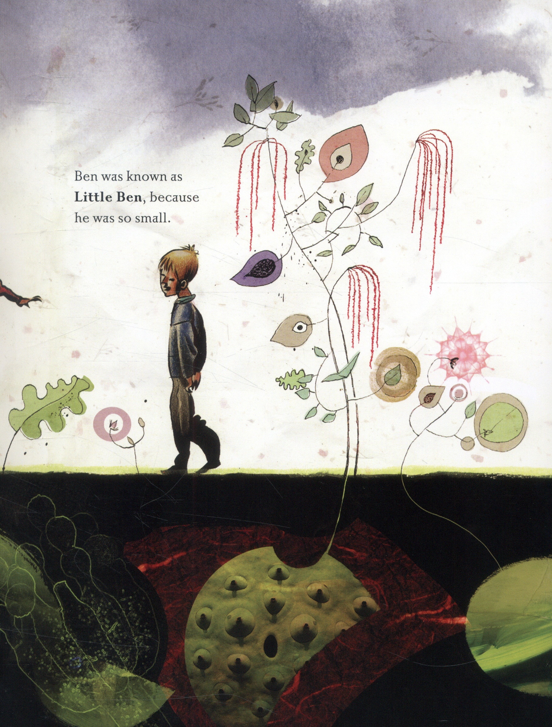 Mouse, bird, snake, wolf by Almond, David (9781406345995) | BrownsBfS