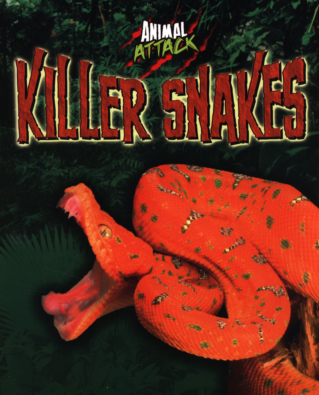 Animal Attack: Killer Snakes by Woolf, Alex (9781445131092) | Browns Books