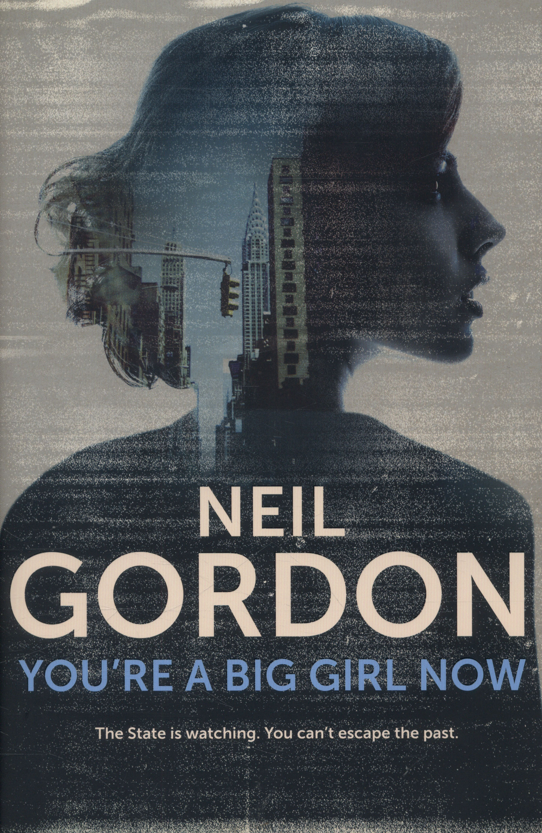 You're a Big Girl Now by Gordon, Neil (9781447227908) | Browns Books