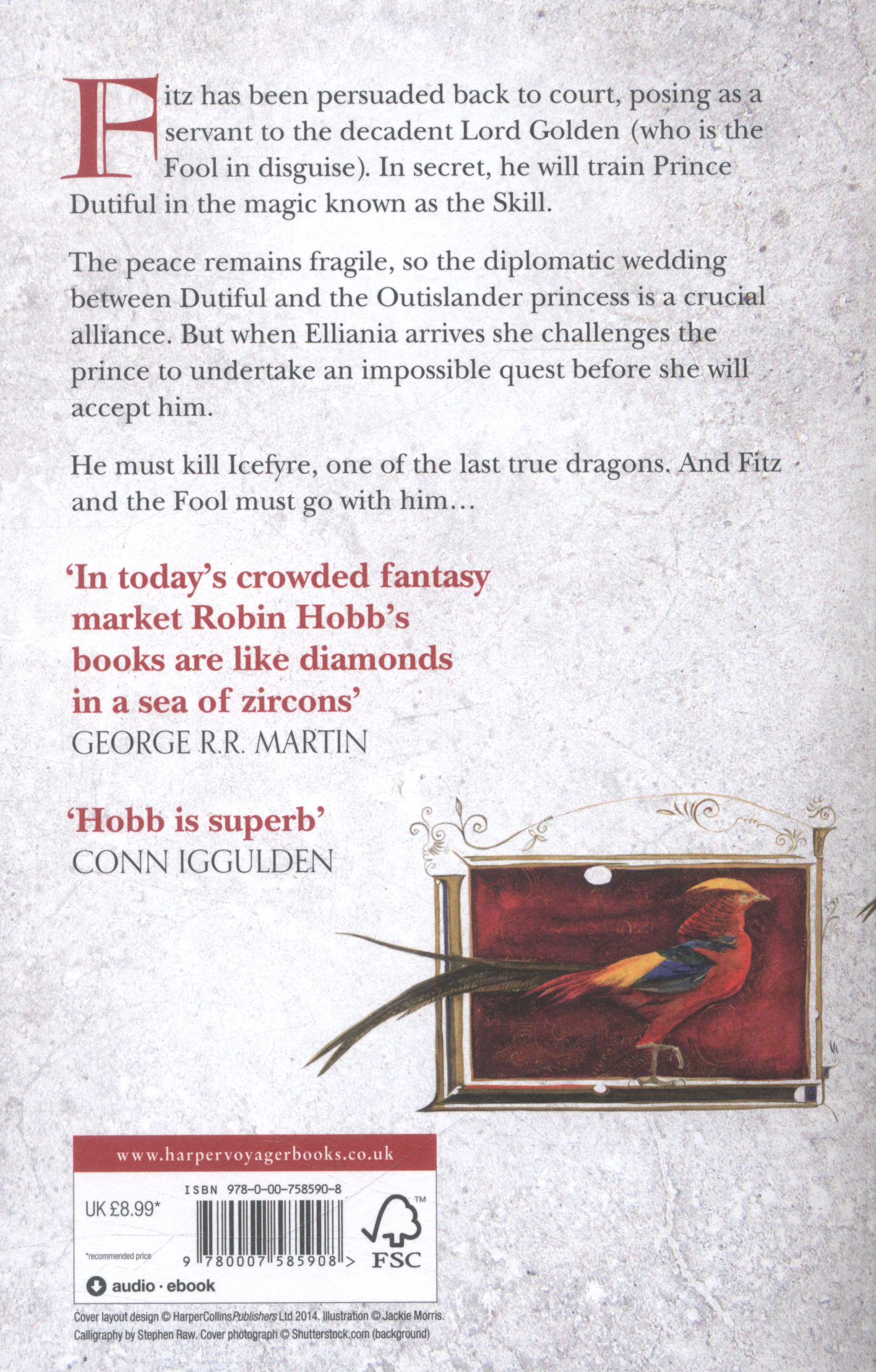 The Golden Fool by Hobb, Robin (9780007585908) | Browns Books