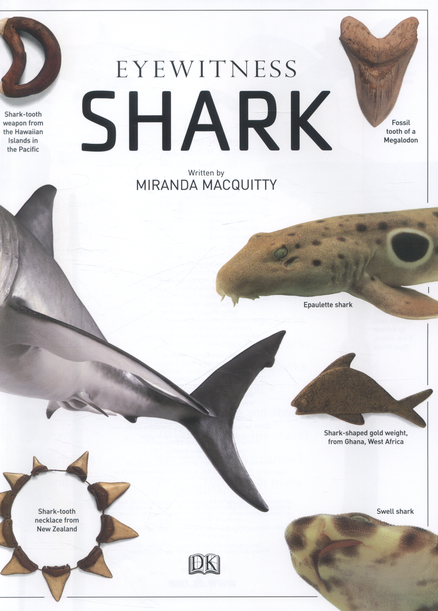 Shark by DK (9780241013625) | BrownsBfS