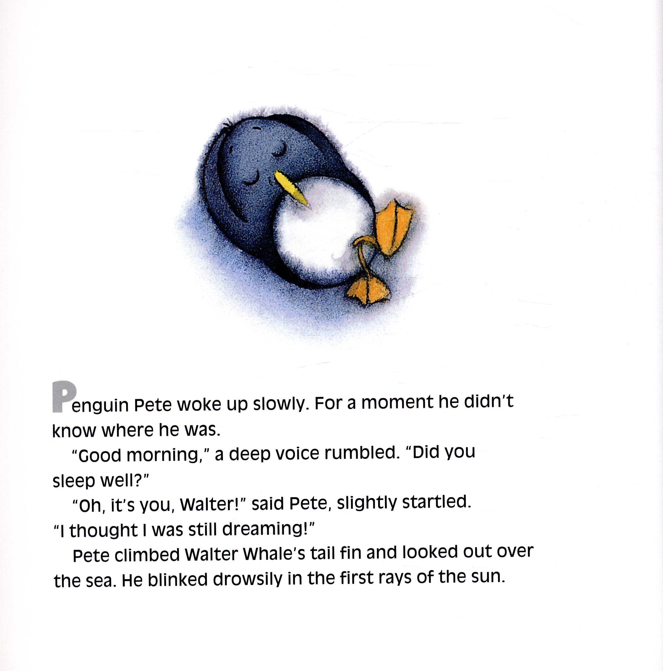 Penguin Pete and Pat by Pfister, Marcus (9780735841550) | BrownsBfS