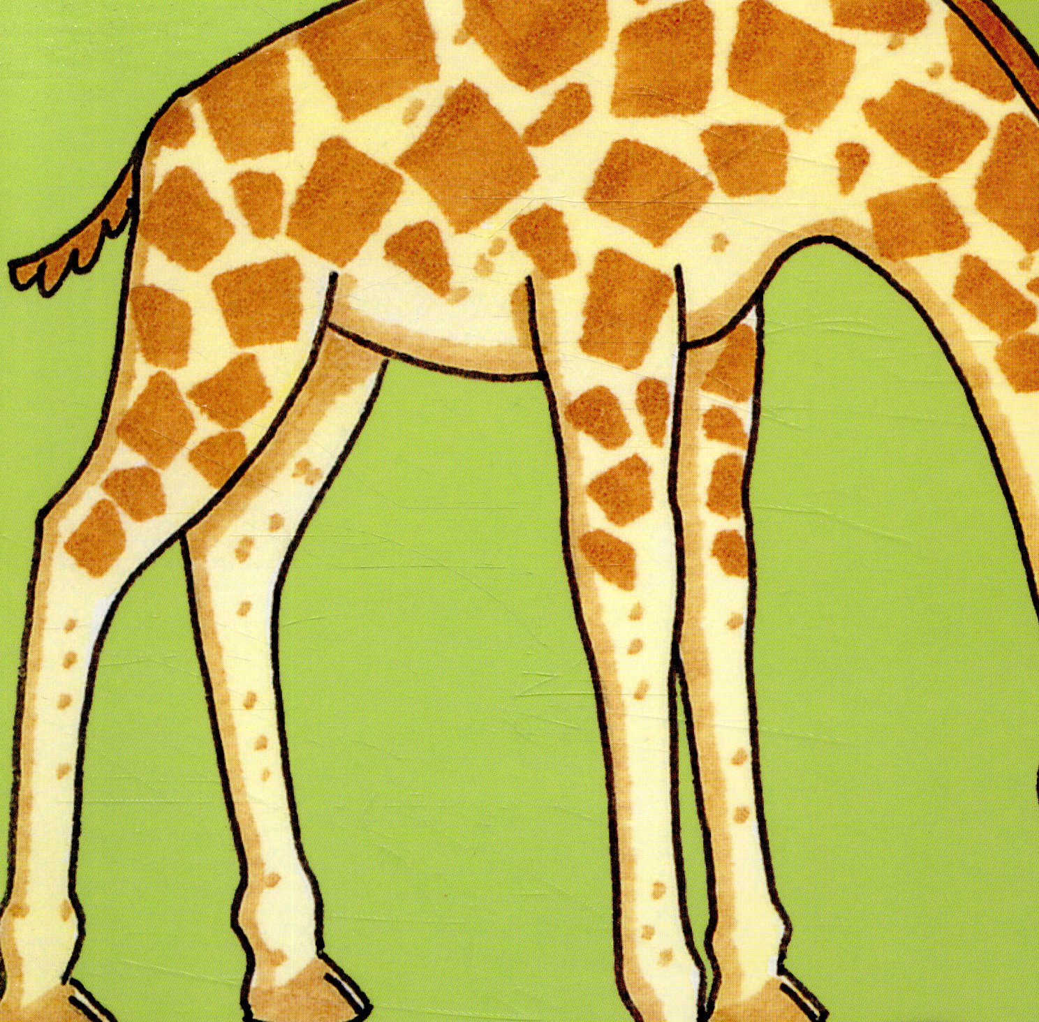 Dear zoo animal shapes by Campbell, Rod (9781447282785) | BrownsBfS
