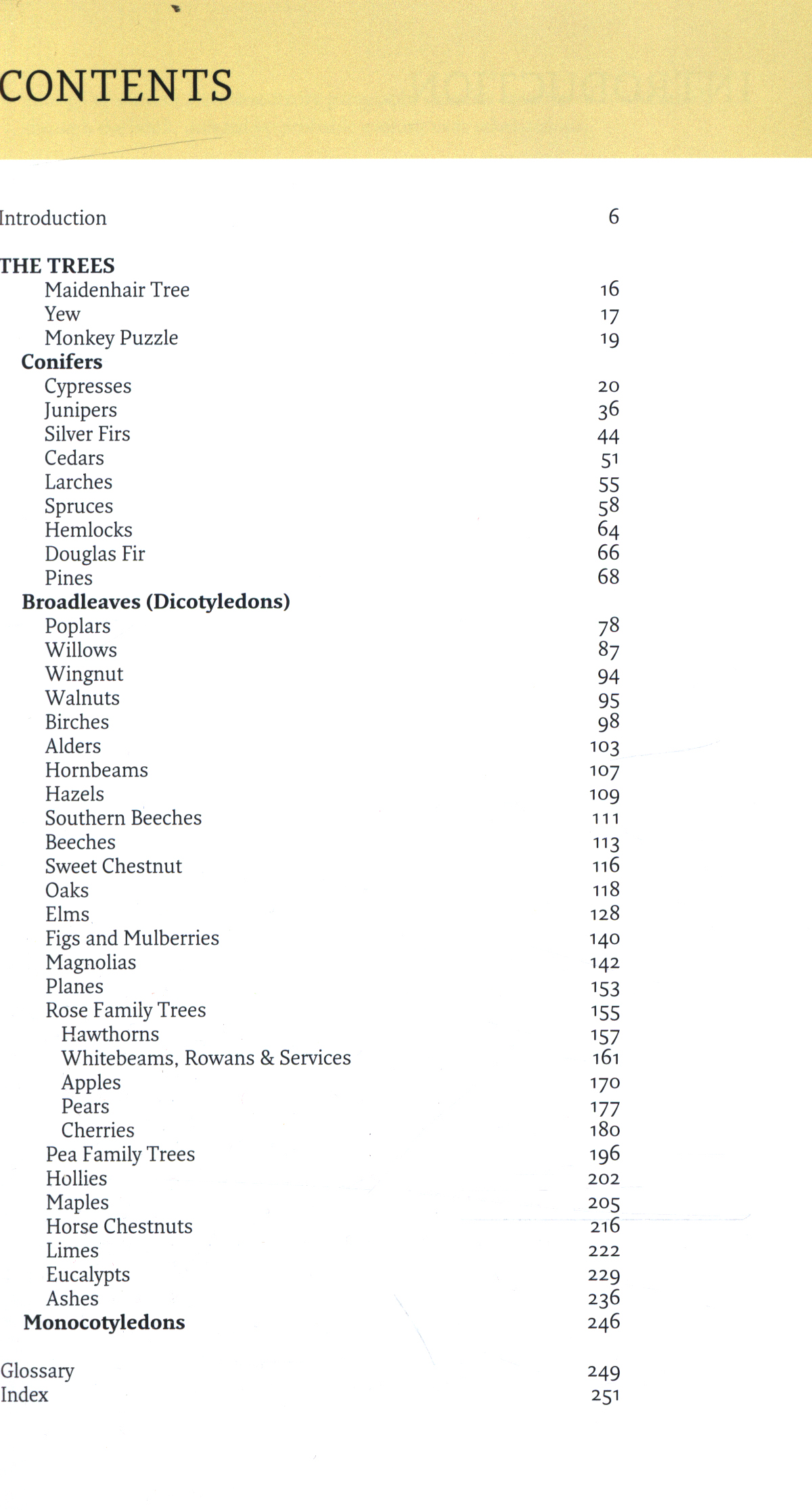 Collins British Tree Guide by Johnson, Owen (9780007451234) | Browns Books