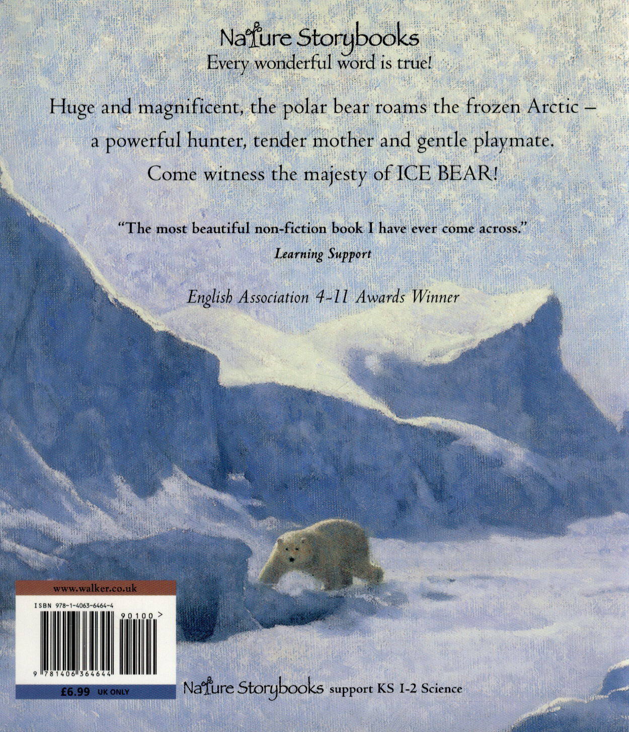 Ice bear by DAVIES, NICOLA (9781406364644) | BrownsBfS