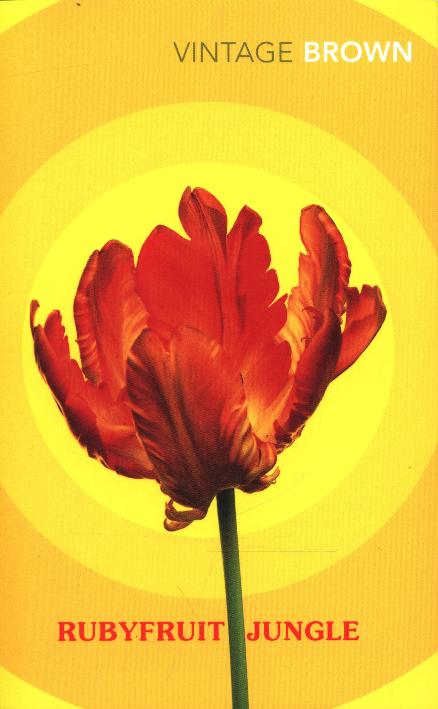 Rubyfruit jungle by Brown, Rita Mae (9781784870515) | BrownsBfS