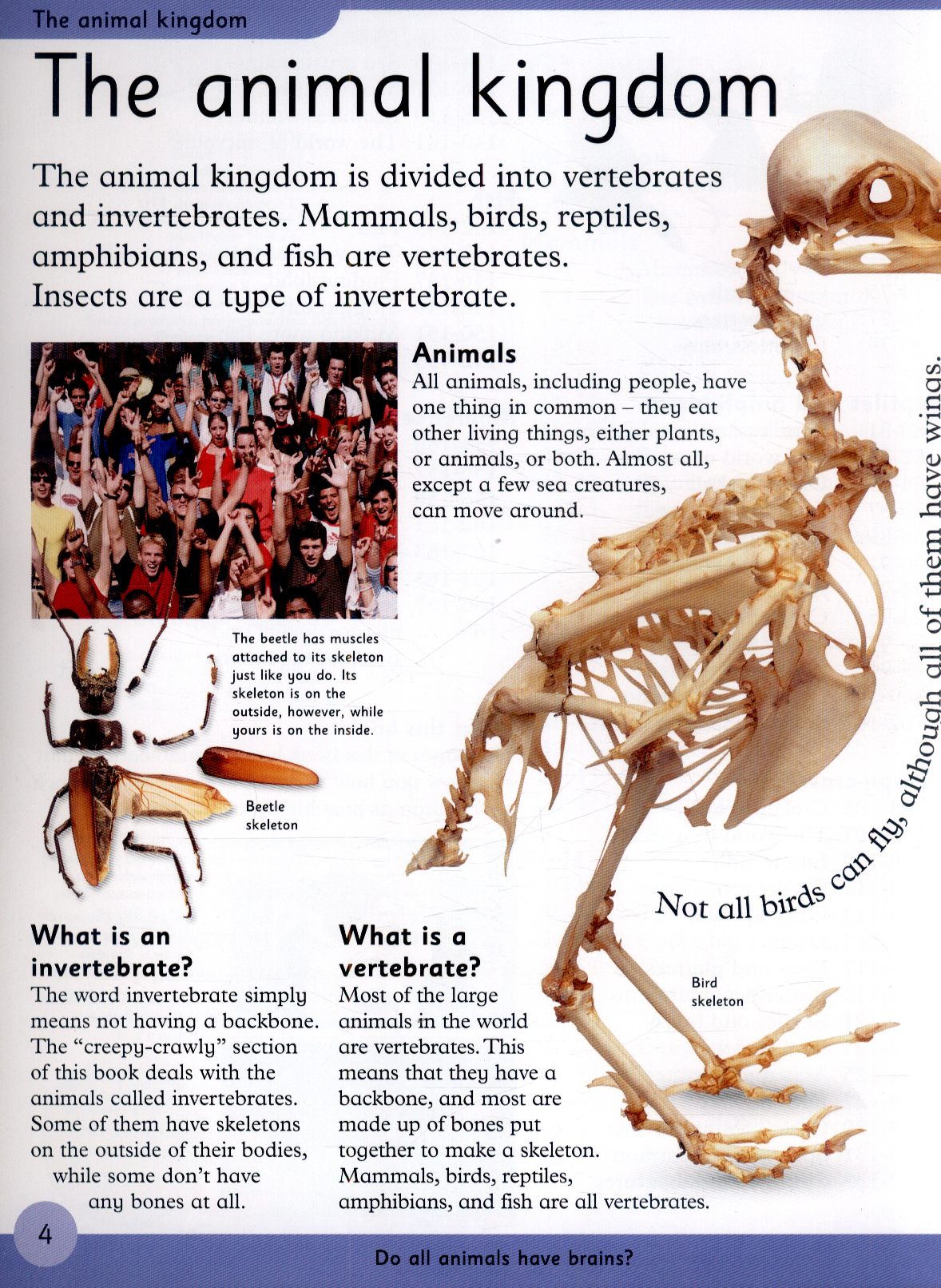 First animal encyclopedia by DK (9780241188729) | BrownsBfS