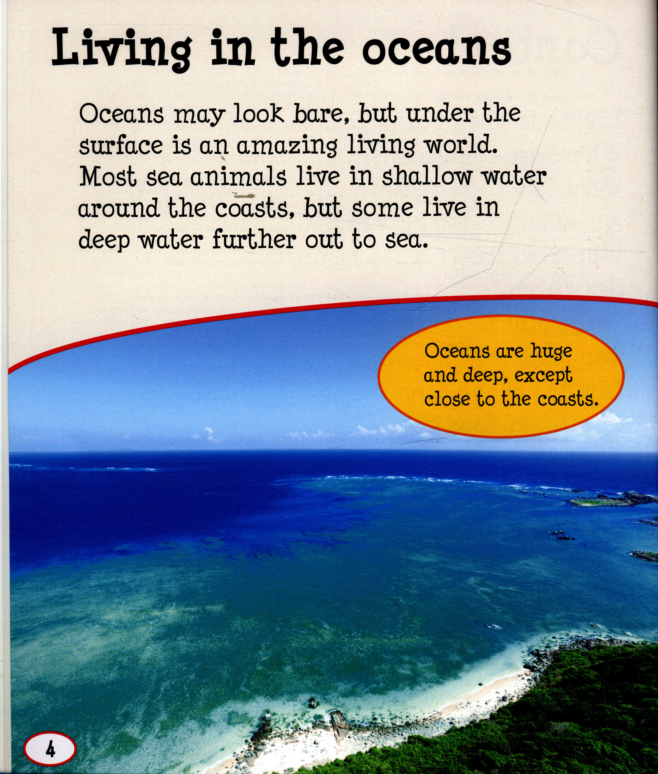 Ocean food chains by Royston, Angela (9781406284232) | BrownsBfS