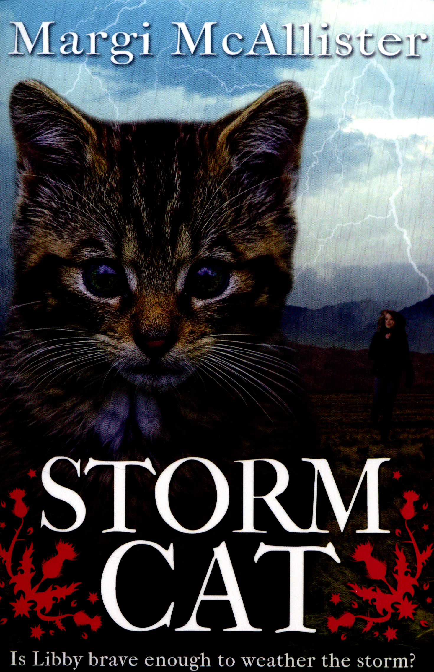 Storm cat by McAllister, Margi (9781407165226) | BrownsBfS
