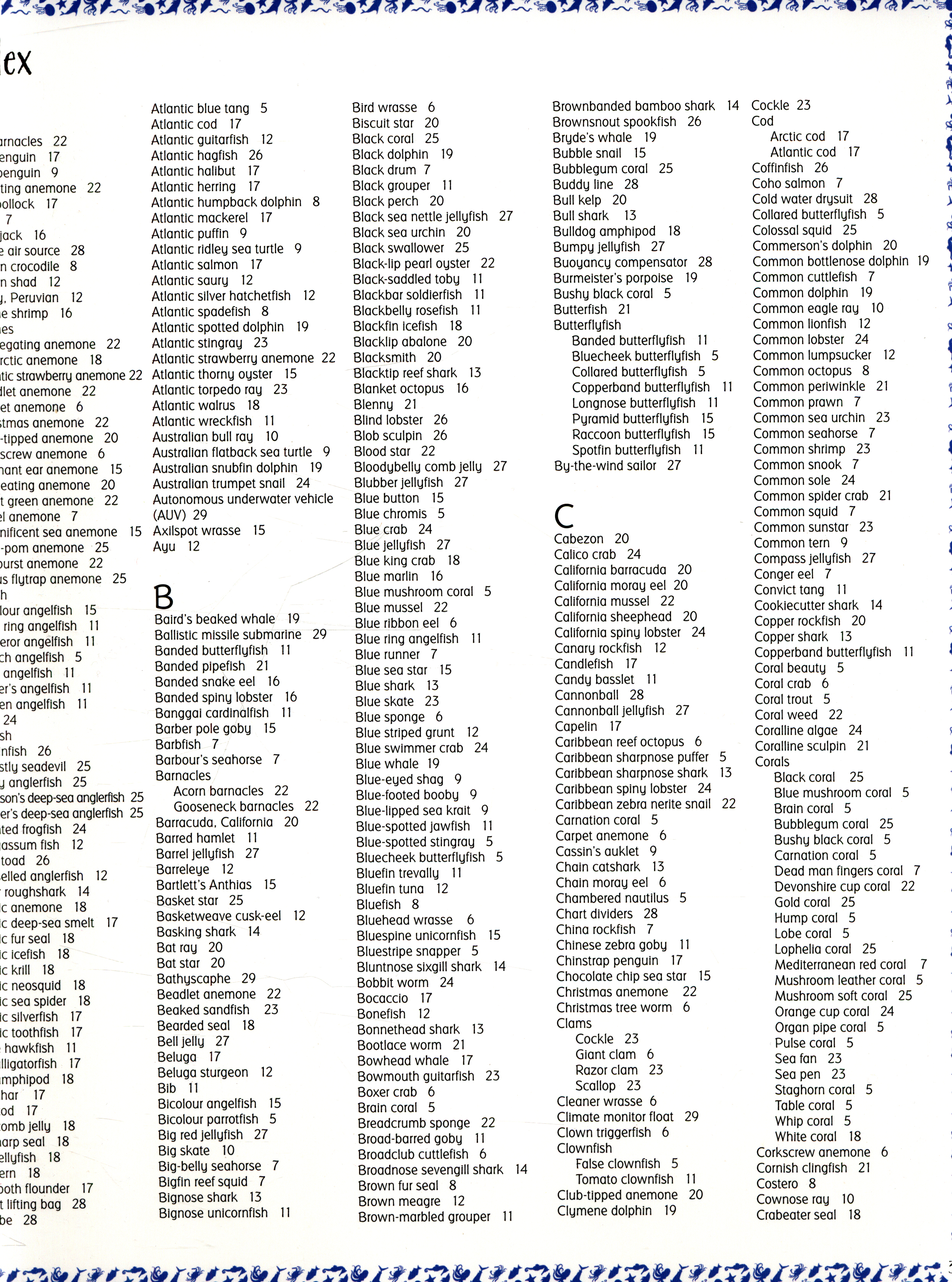 1000 Things Under the Sea by Greenwell, Jessica (9781409582656 ...