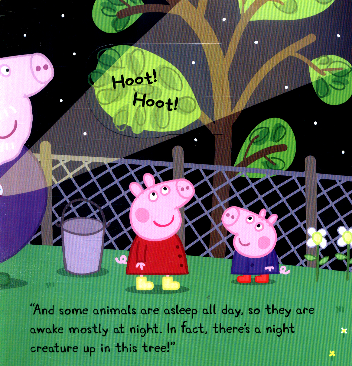 Peppa Pig: Night Creatures by Peppa Pig (9780241249918) | Browns Books