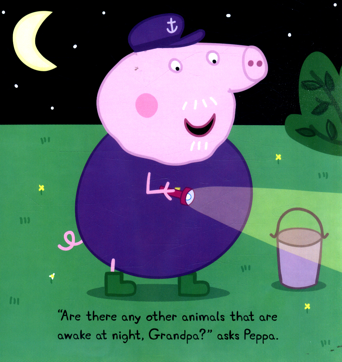 Peppa Pig: Night Creatures by Peppa Pig (9780241249918) | Browns Books