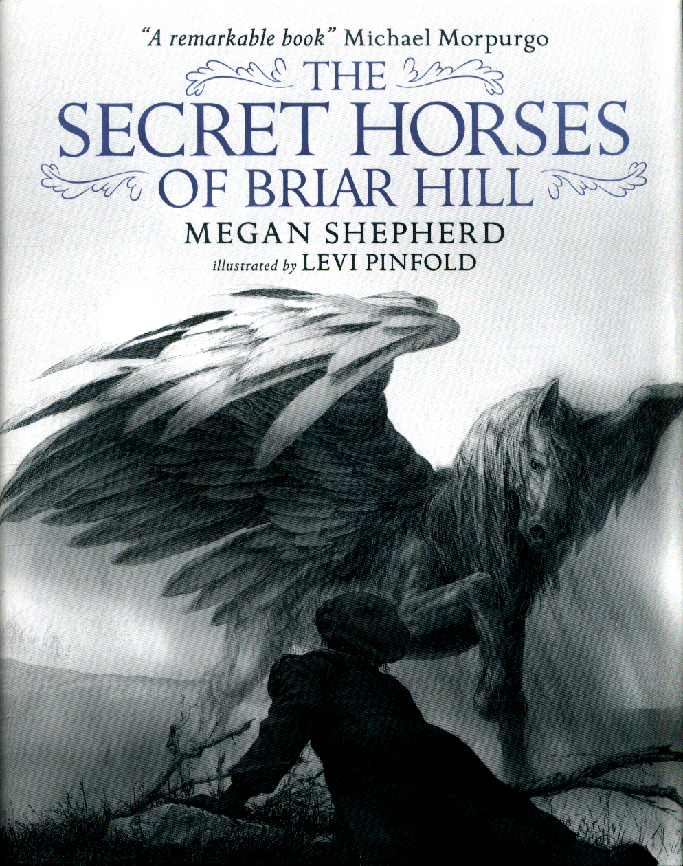 The secret horses of Briar Hill by Shepherd, Megan (9781406367584 ...