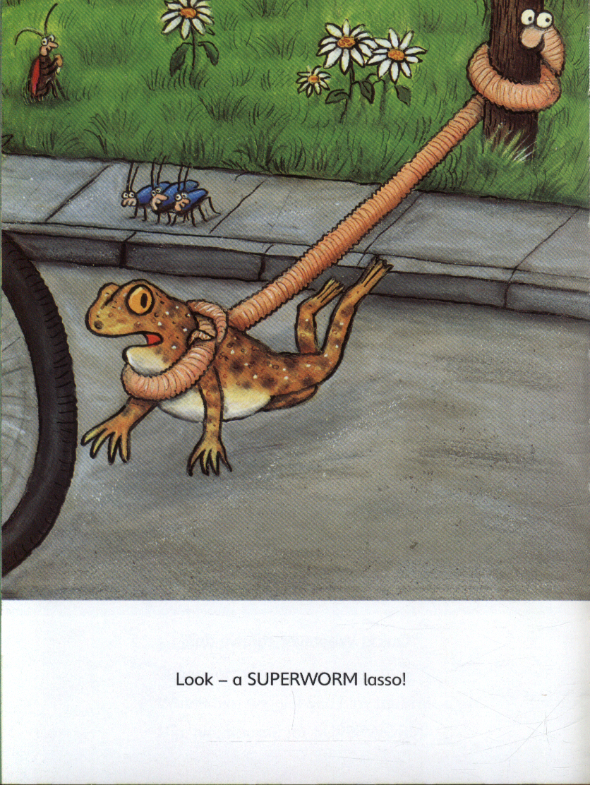 Superworm Early Reader by Donaldson, Julia (9781407166087) | Browns Books