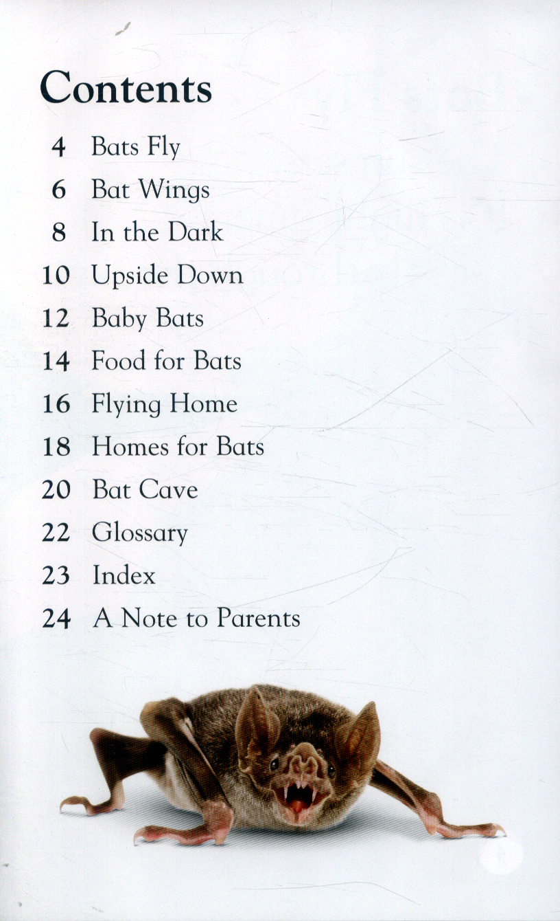 All about bats by DK (9780241282632) | BrownsBfS