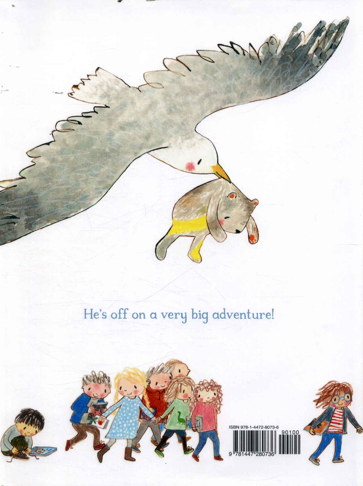 The Everywhere Bear by Donaldson, Julia (9781447280736) | Browns Books