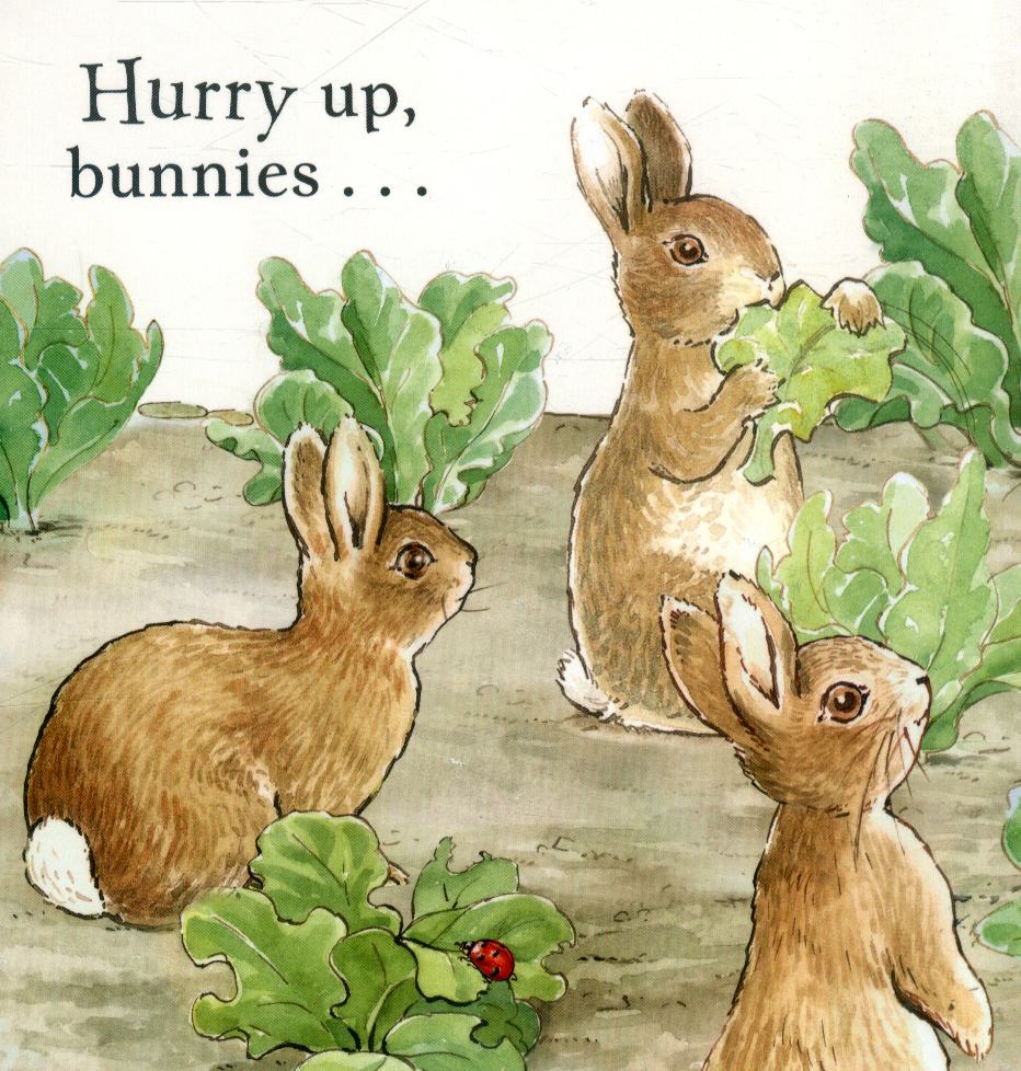 Peter Rabbit: Easter Surprise by Potter, Beatrix (9780241303467 ...