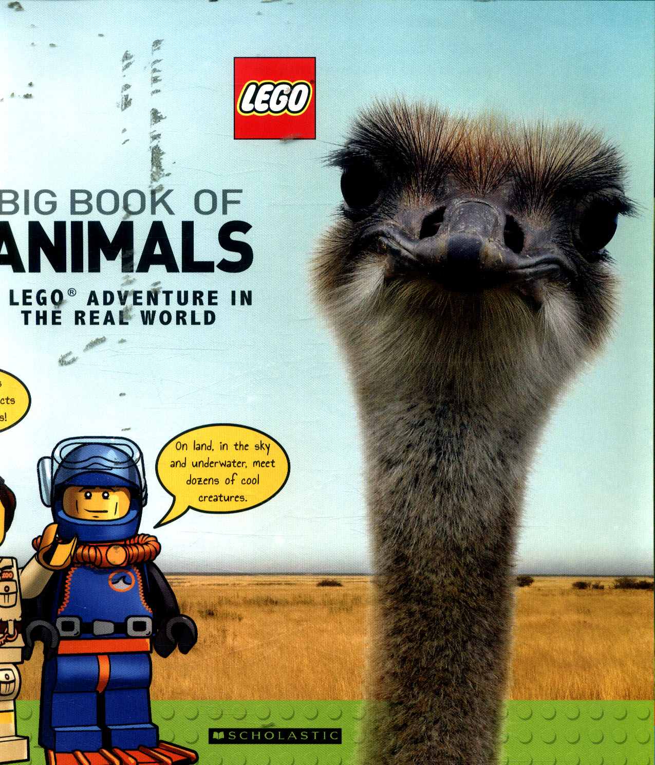 Big book of animals by Scholastic (9781407172330) | BrownsBfS