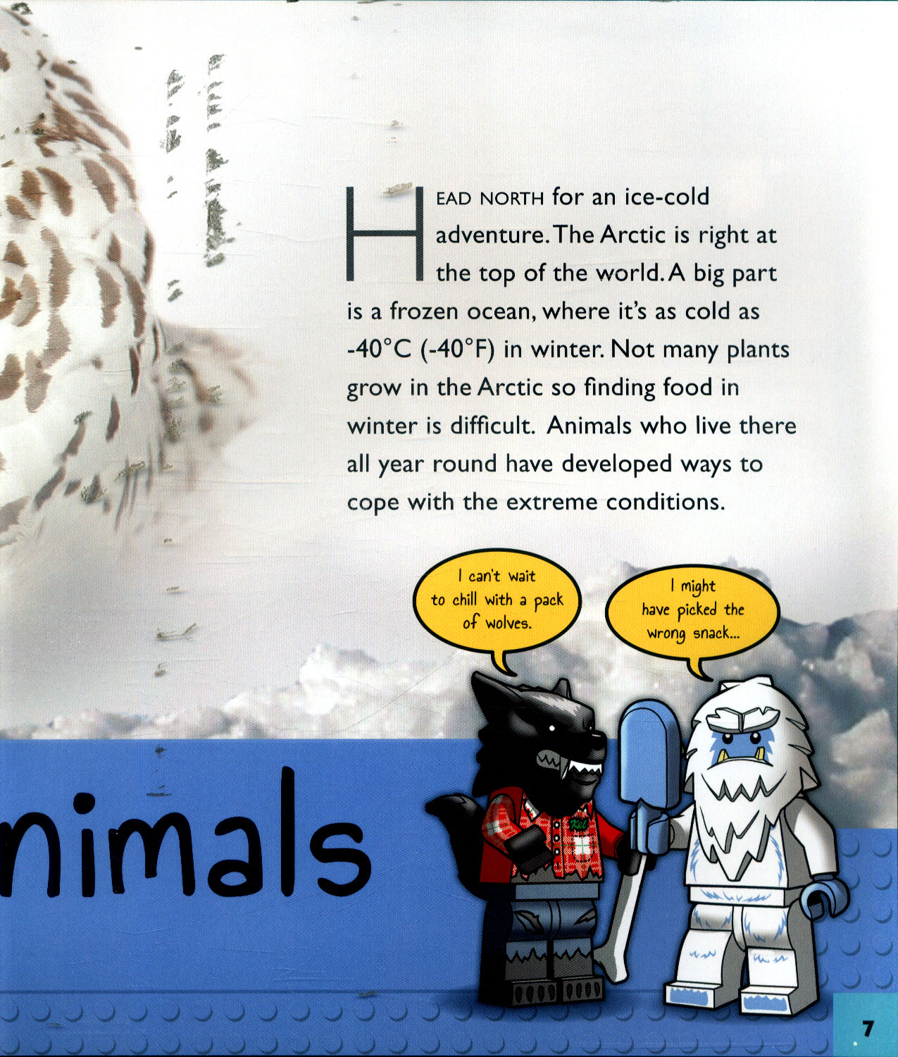 LEGO Big Book of Animals by Scholastic (9781407172330) | Browns Books