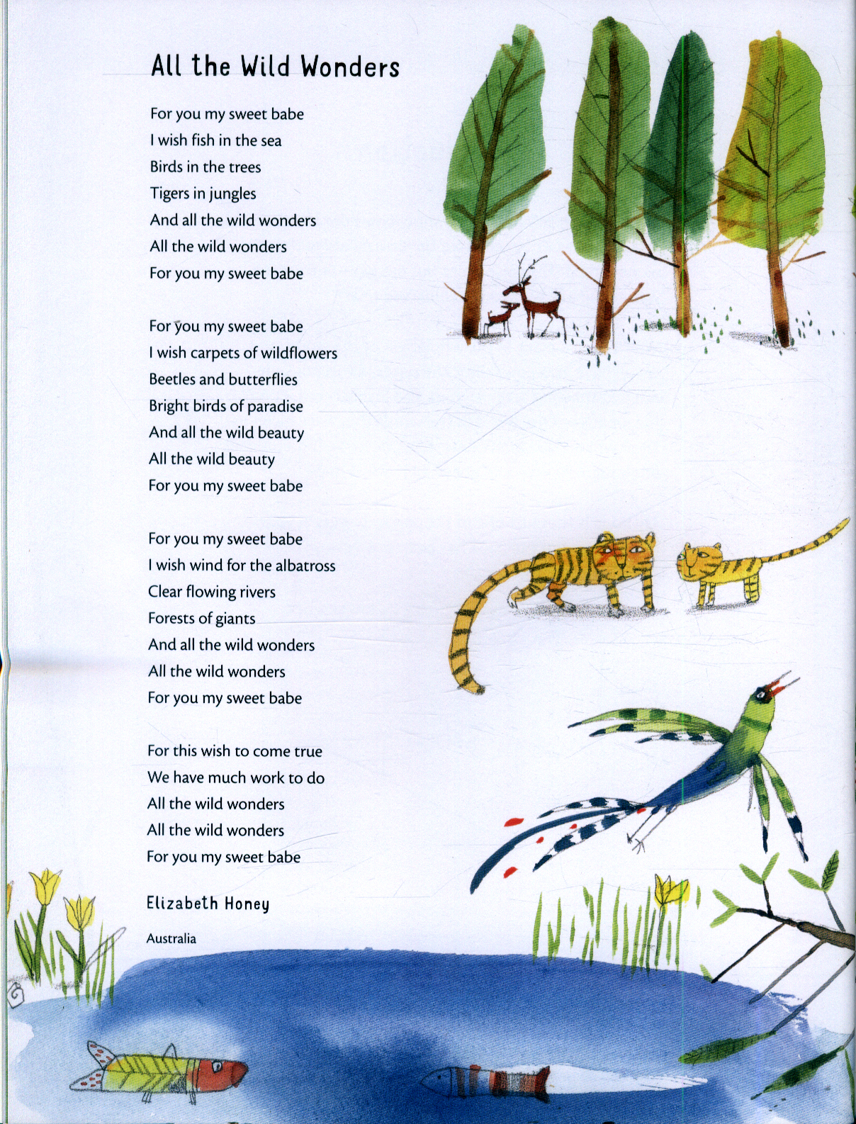 All the wild wonders : poems of our Earth by Cooling, Wendy ...