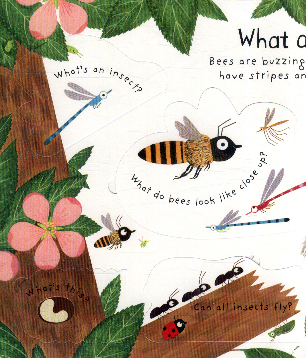 Why do we need bees?