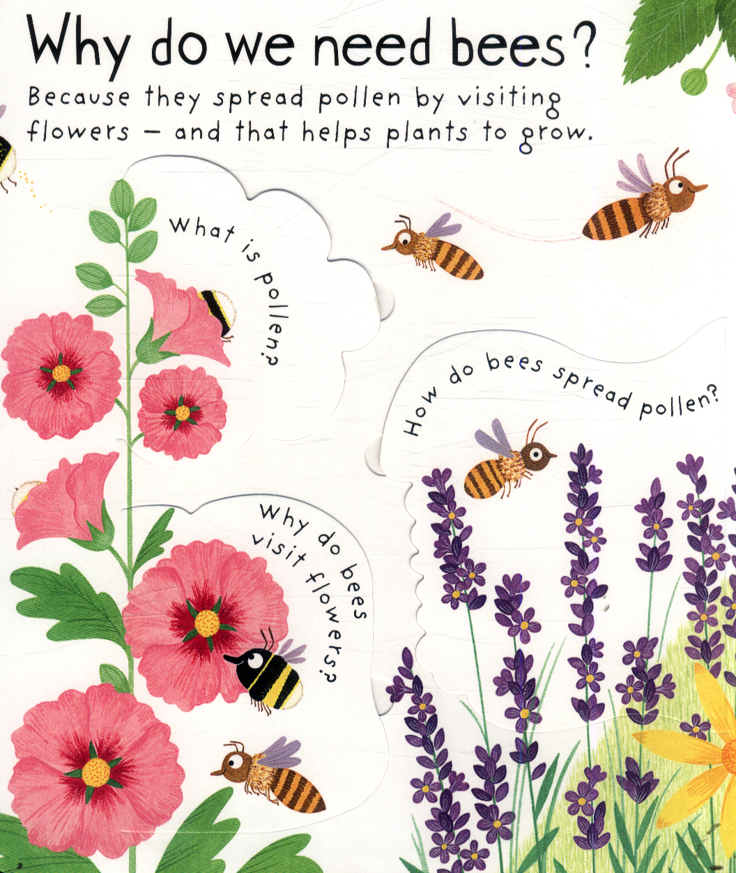 Why do we need bees?