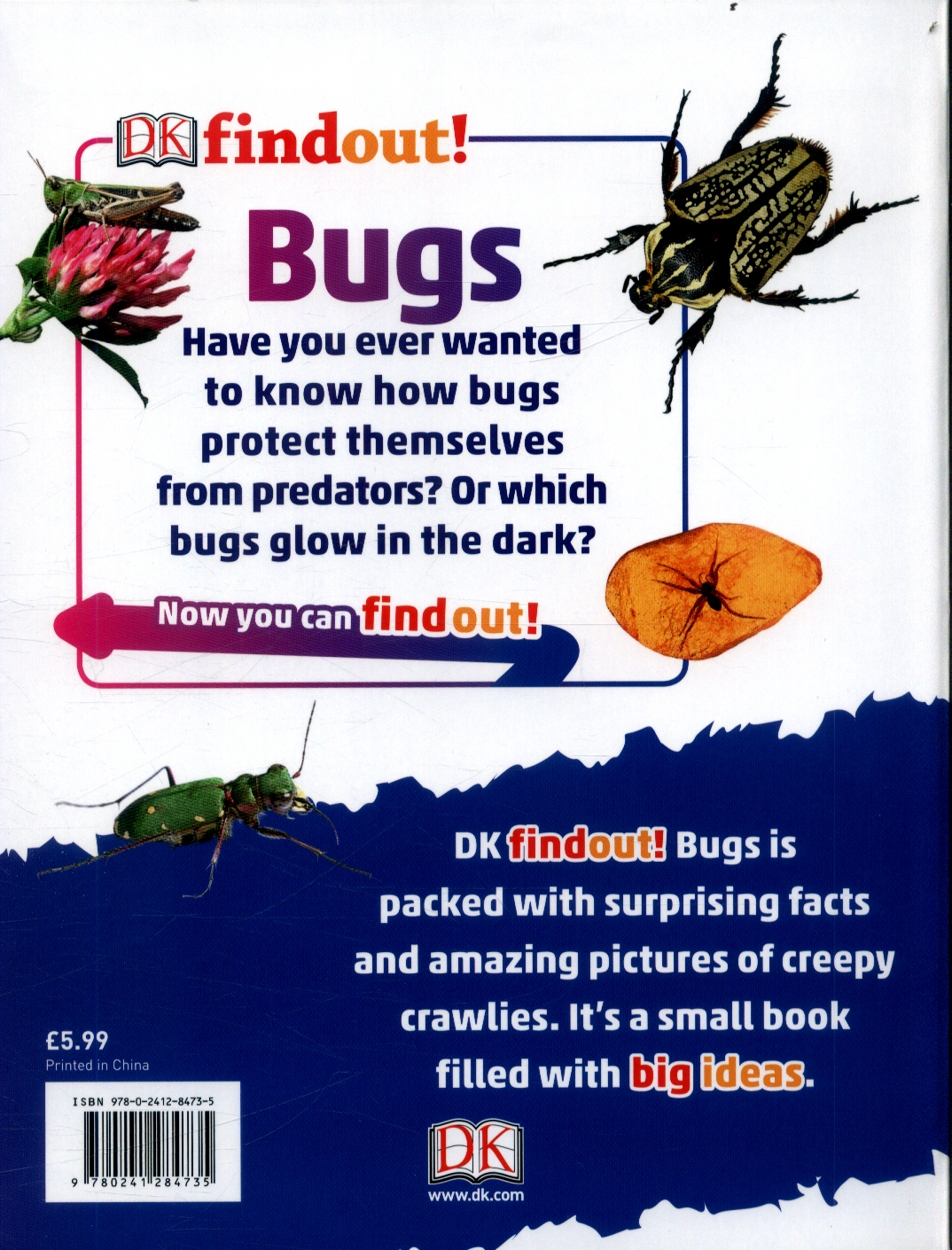 DKfindout! Bugs by DK (9780241284735) | Browns Books