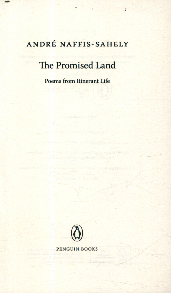 The Promised Land by Naffis-Sahely, Andre (9780141984933) | Browns Books