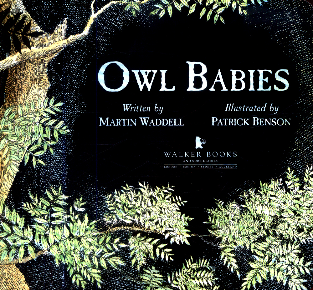 Owl babies by Waddell, Martin (9781406374377) | BrownsBfS