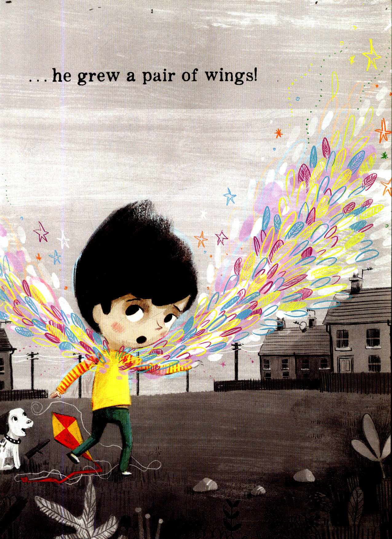 Perfectly Norman by Percival, Tom (9781408880975) | BrownsBfS