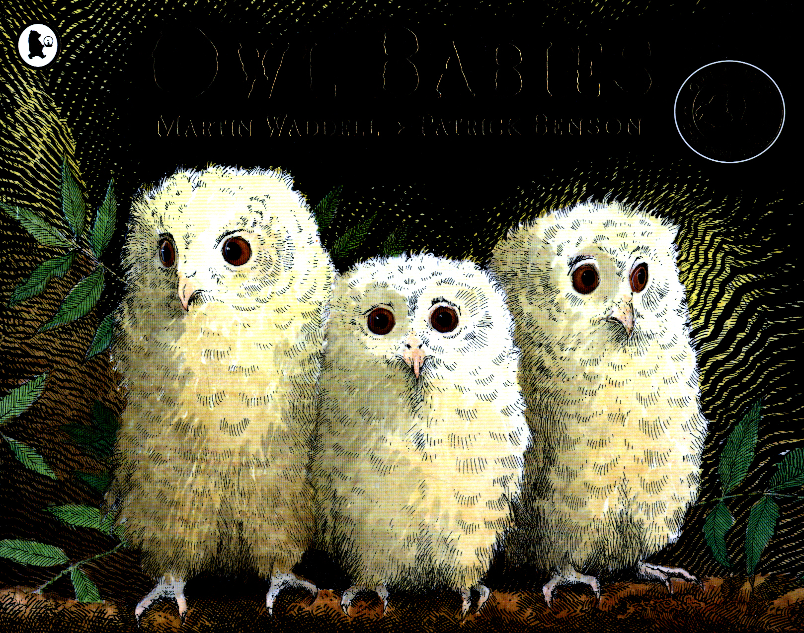 Owl babies by Waddell, Martin (9781406349573) | BrownsBfS