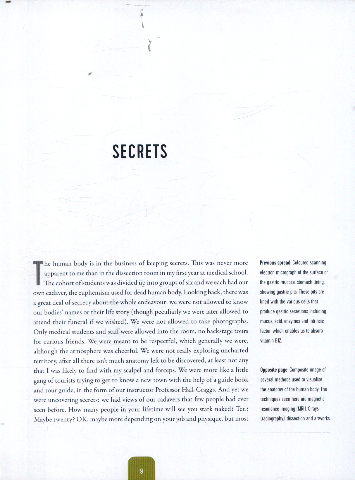 Secrets of the Human Body by Cohen, Andrew (9780008256548) | Browns Books