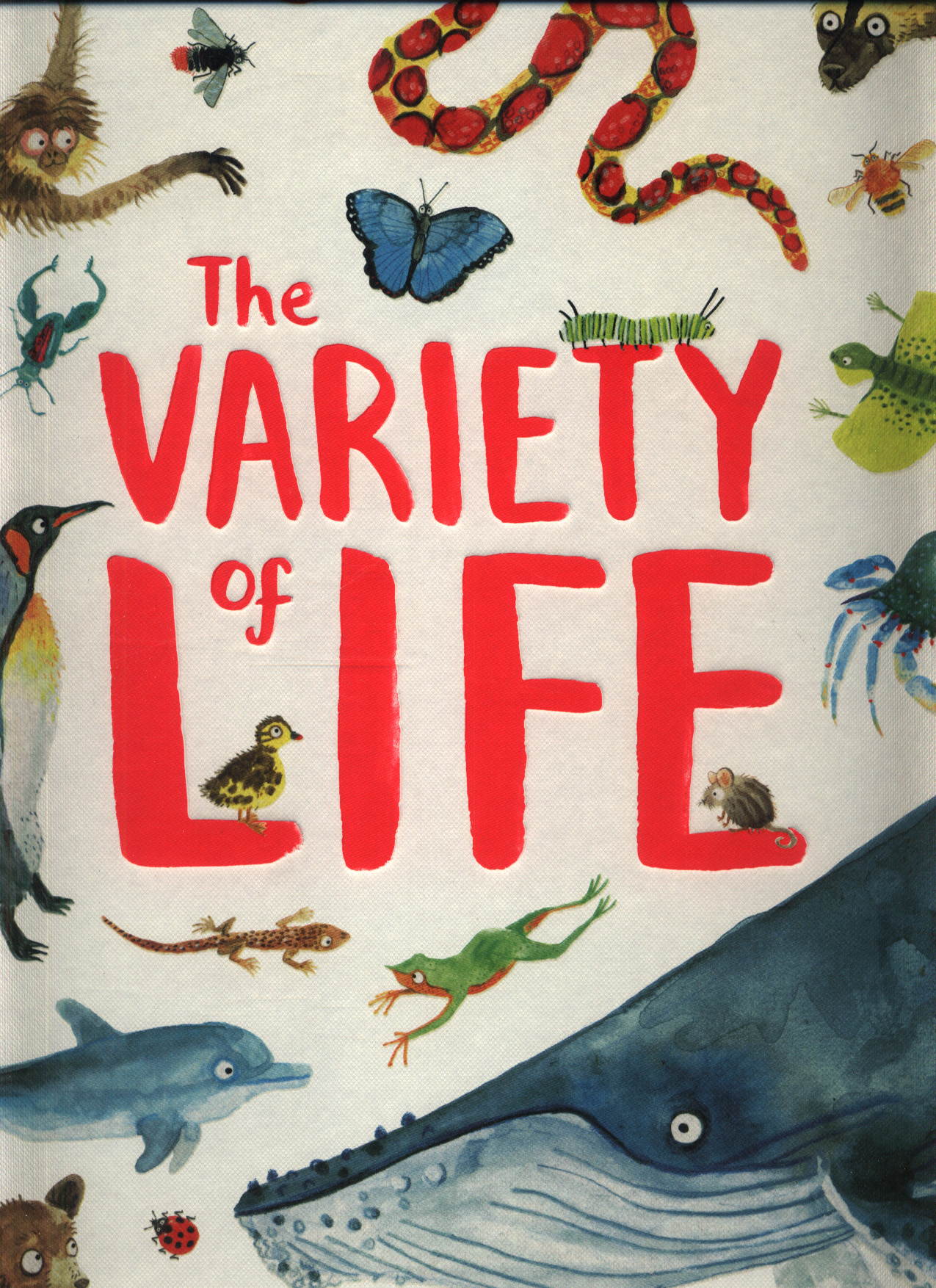 The Variety of Life by Davies, Nicola (9781444931198) | Browns Books