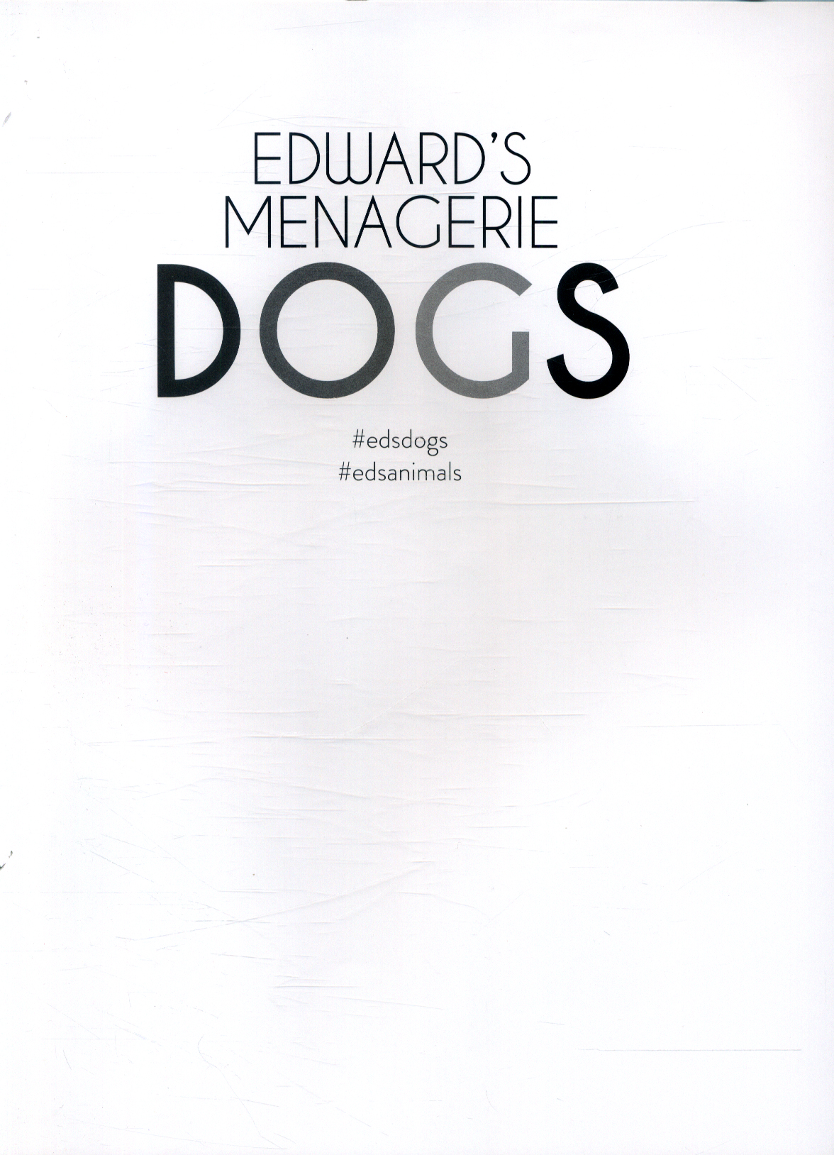 Edward's Menagerie: Dogs by Lord, Kerry (9781911595243) | Browns Books
