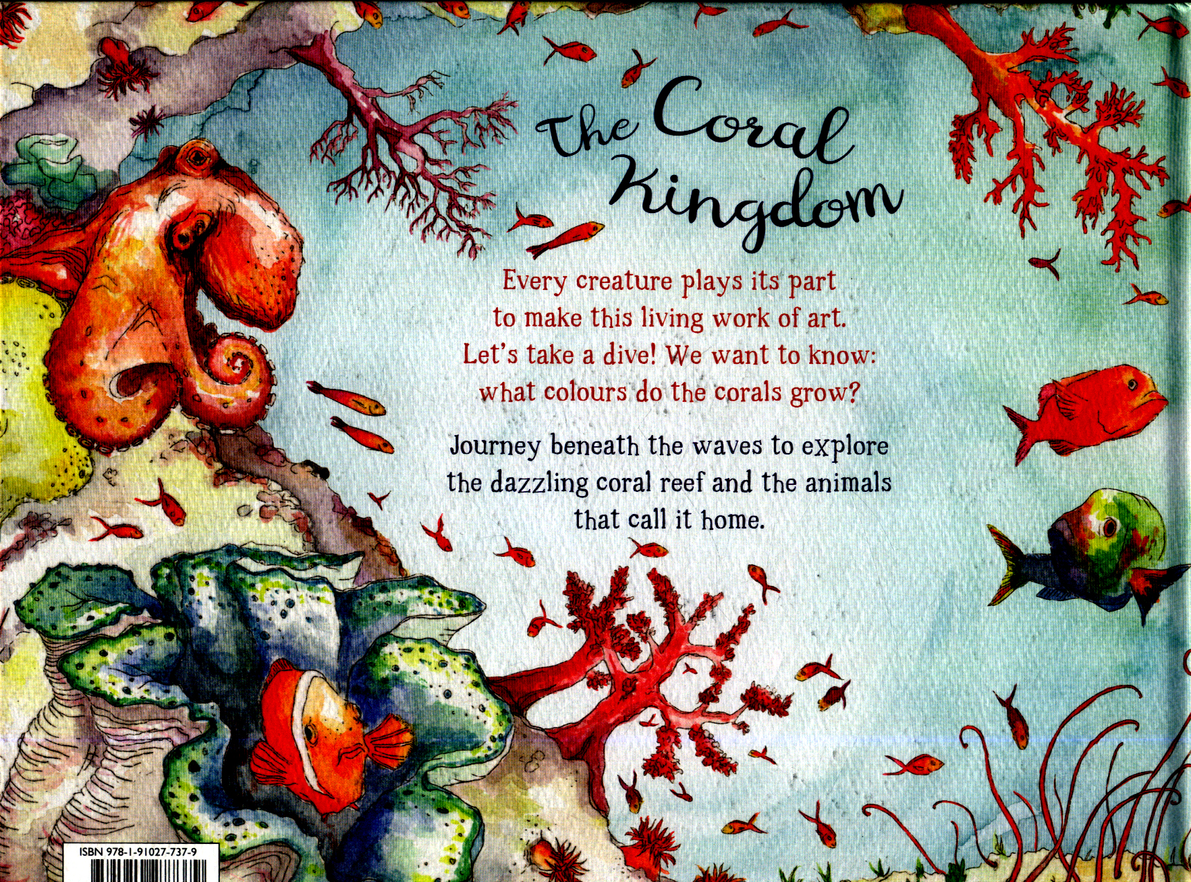 The coral kingdom by Knowles, Laura (9781910277379) | BrownsBfS