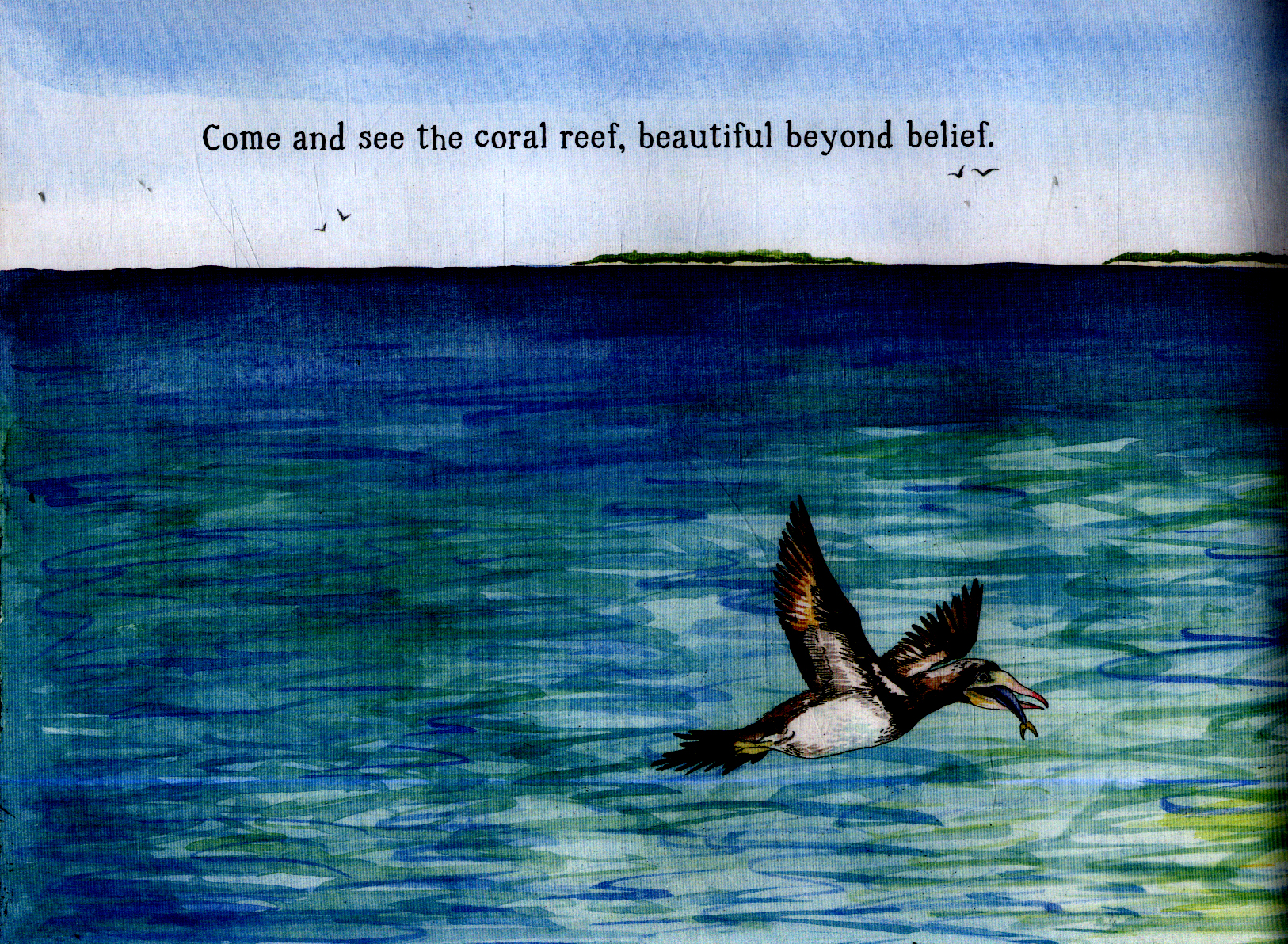 The coral kingdom by Knowles, Laura (9781910277379) | BrownsBfS