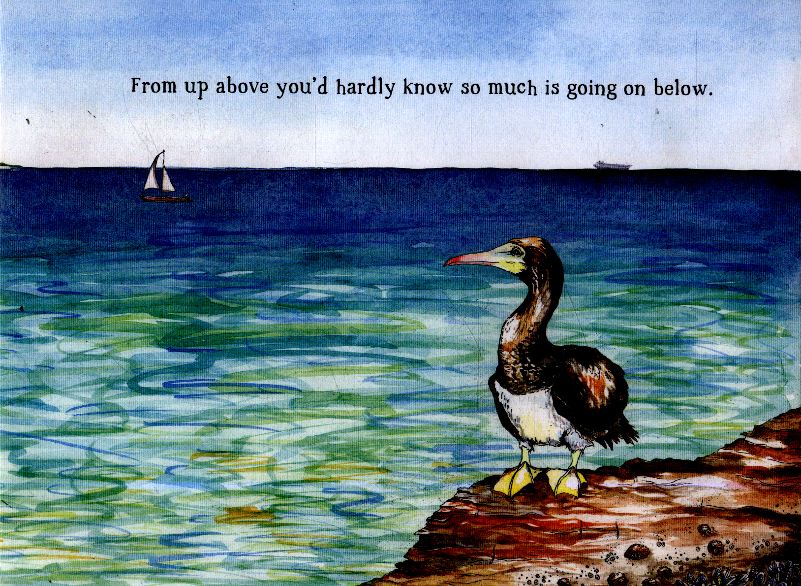 The coral kingdom by Knowles, Laura (9781910277379) | BrownsBfS