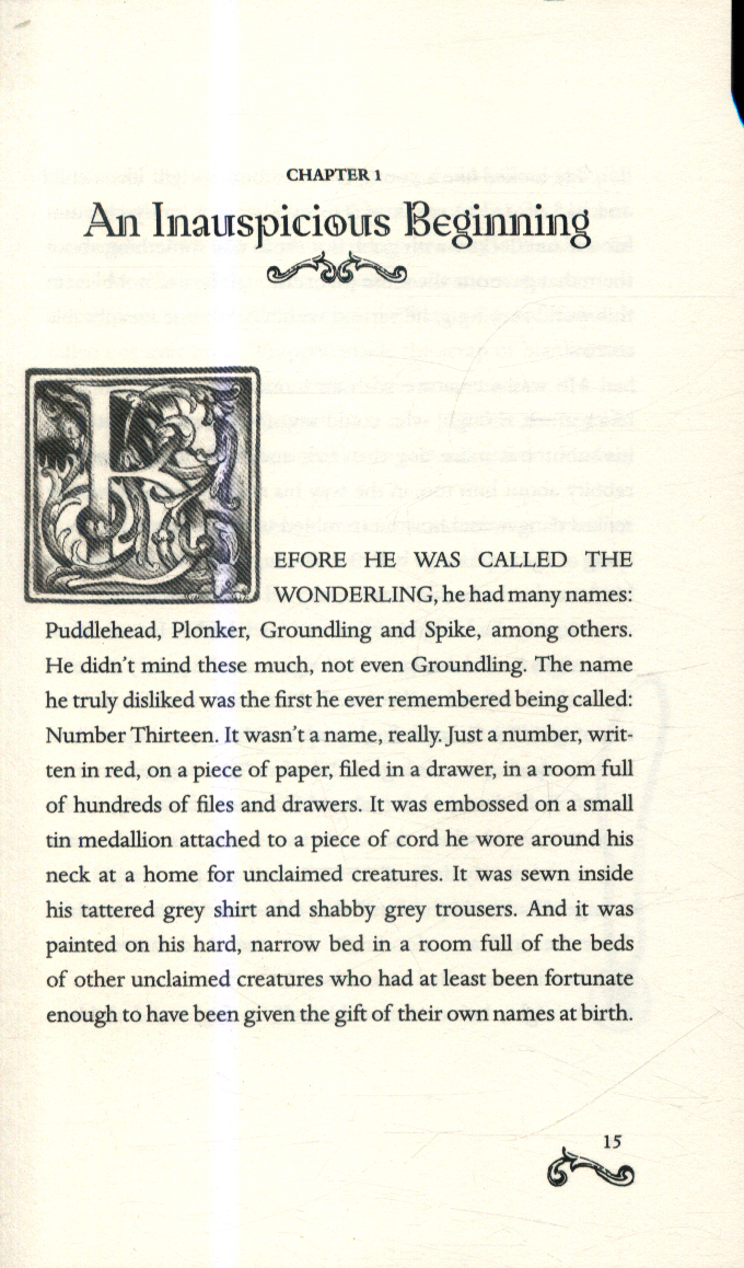 The Wonderling by Bartok, Mira (9781406379907) | Browns Books