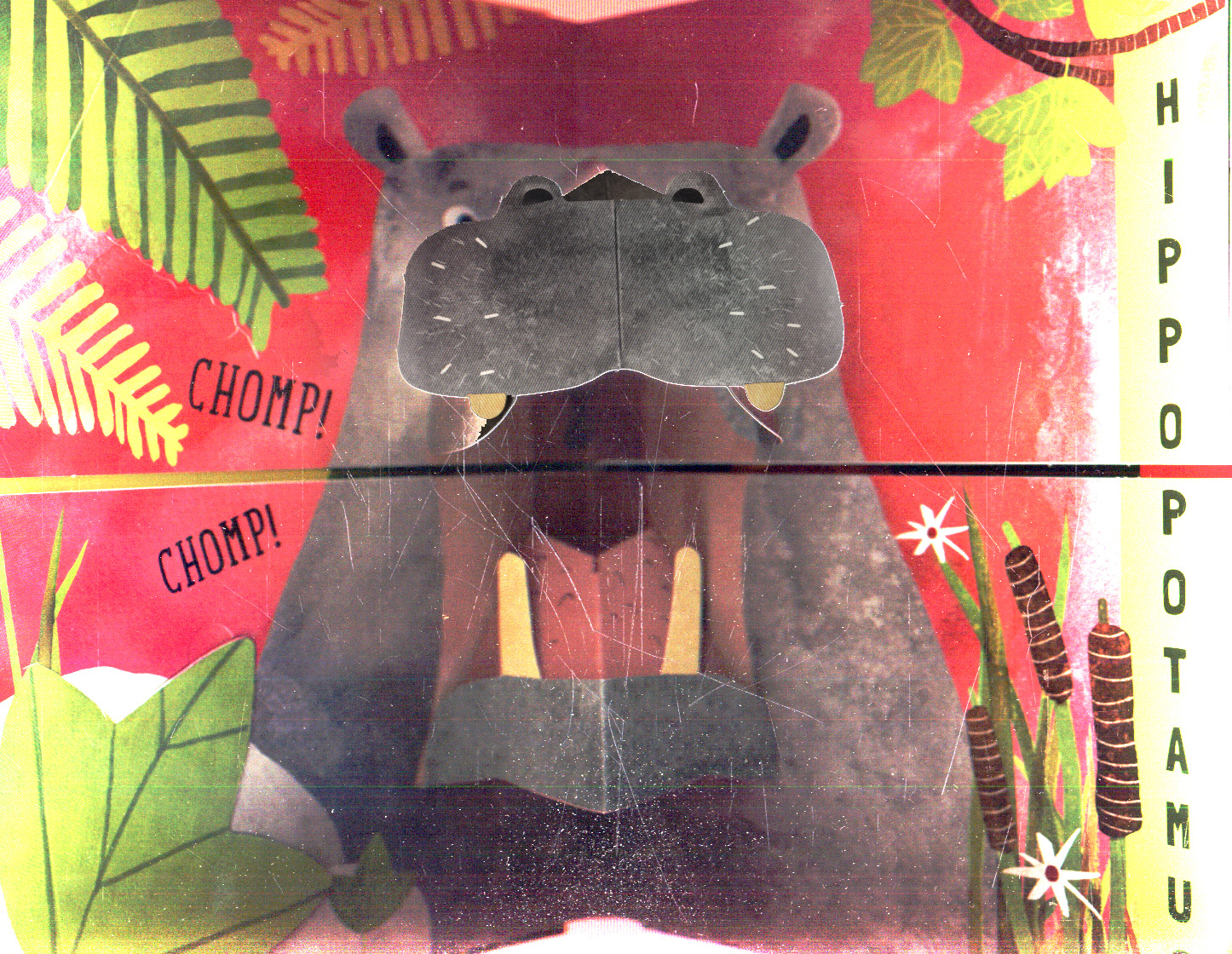 Flip Flap Snap: Jungle