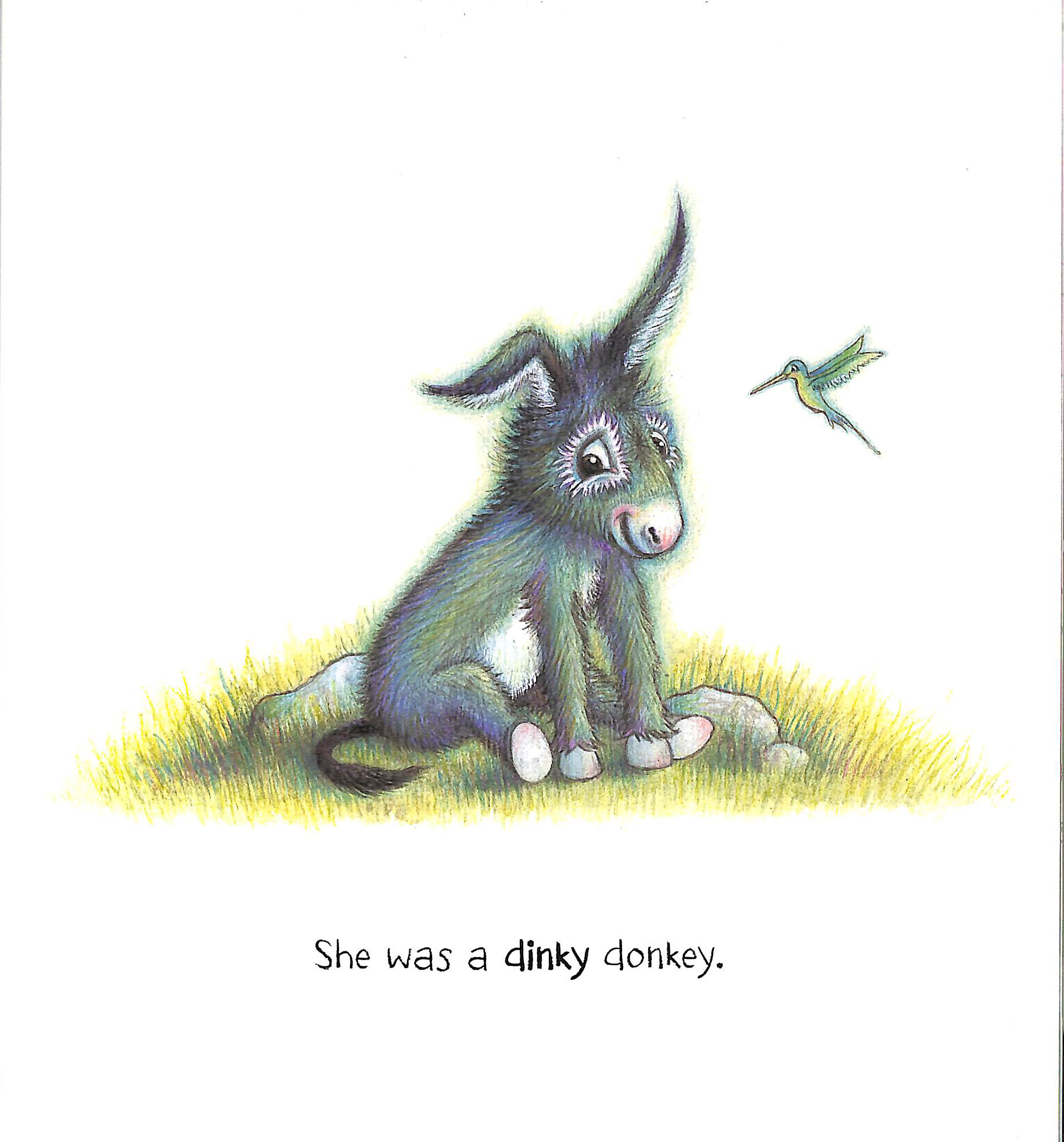 The Dinky Donkey (PB) by Smith, Craig (9781407198514) | Browns Books