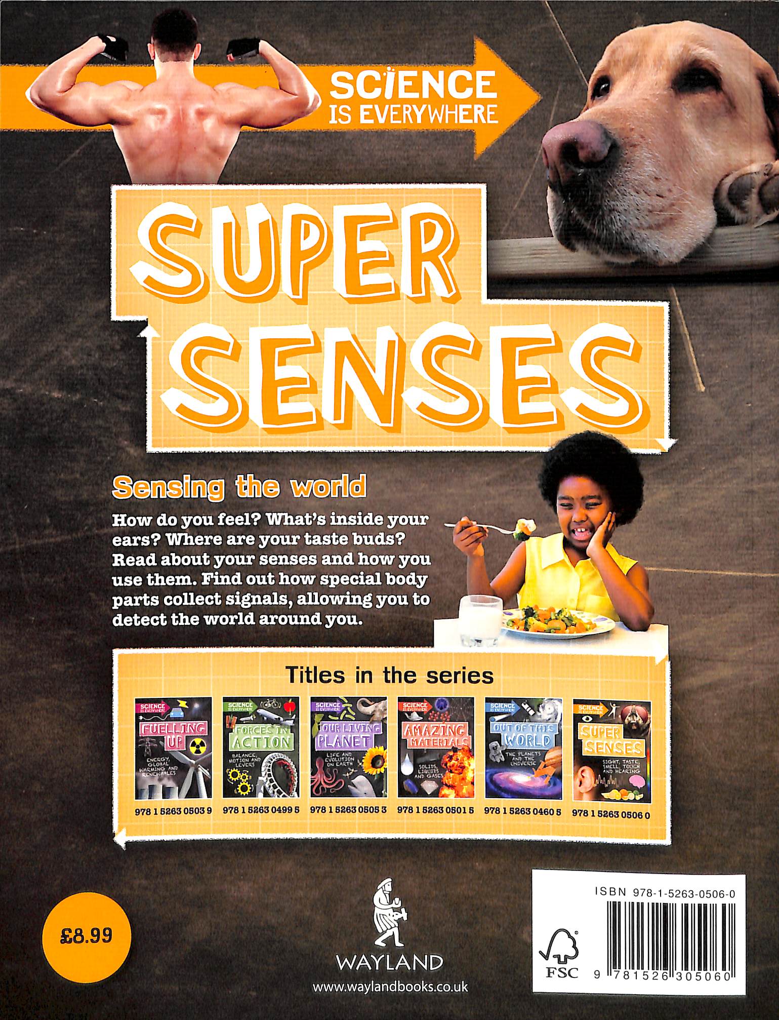 Science is Everywhere: Super Senses : Sight, taste, smell, touch and ...