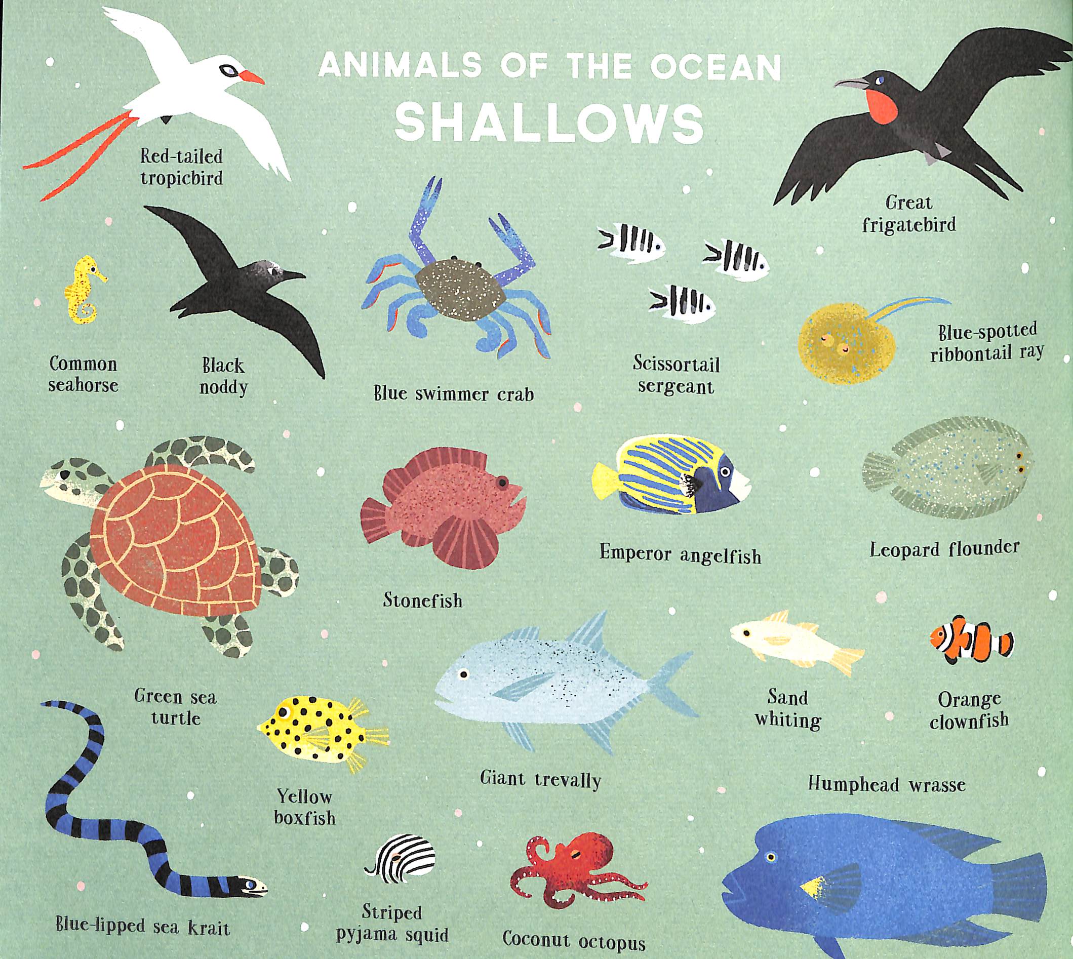 One Day On Our Blue Planet ...In the Ocean