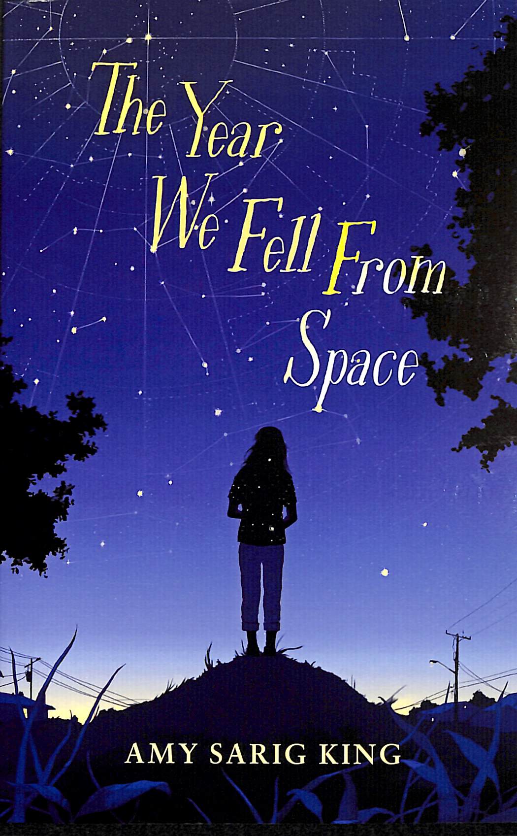 The year we fell from space by Sarig King, Amy (9780702301933) | BrownsBfS