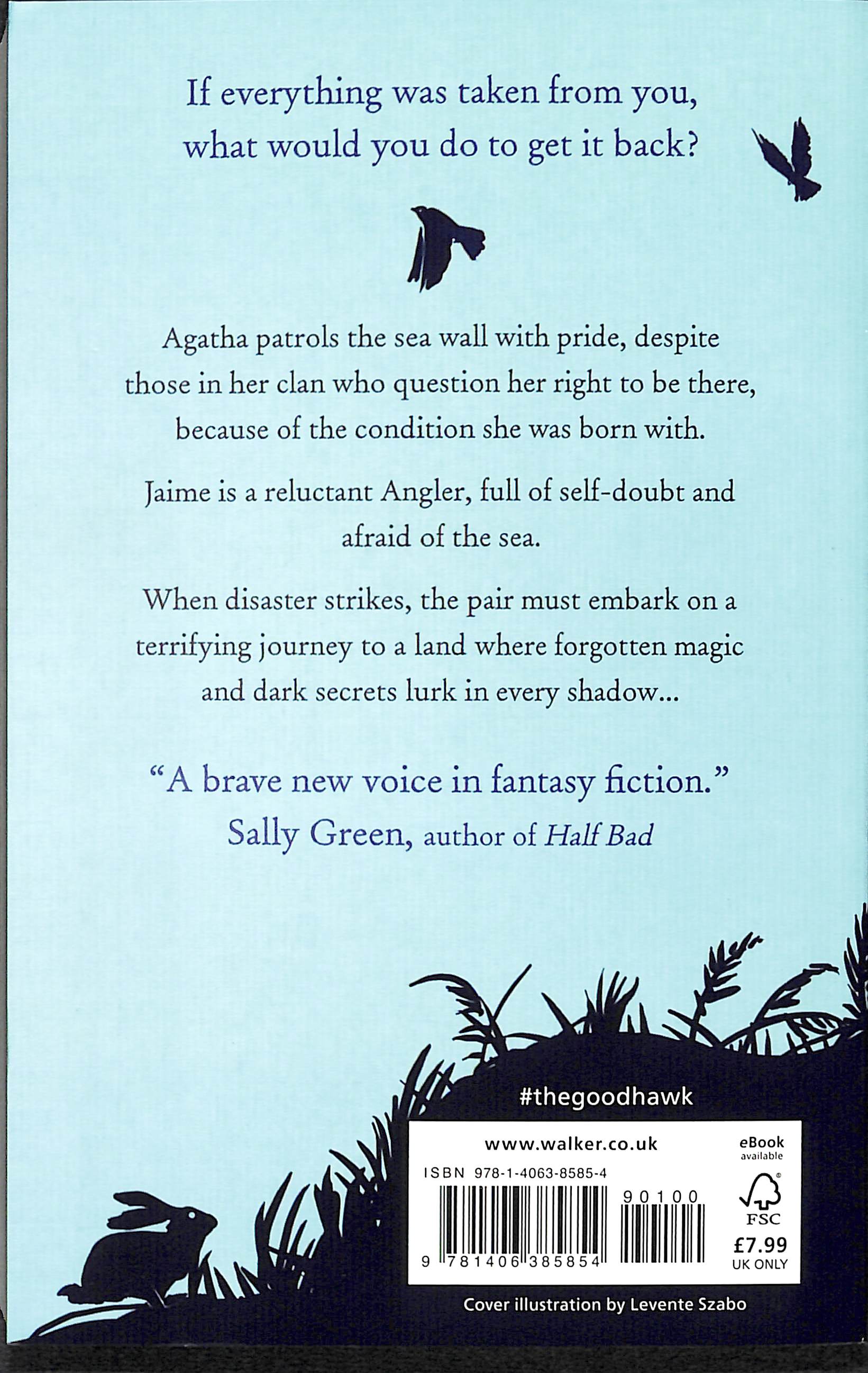 The Good Hawk (Shadow Skye, Book One)