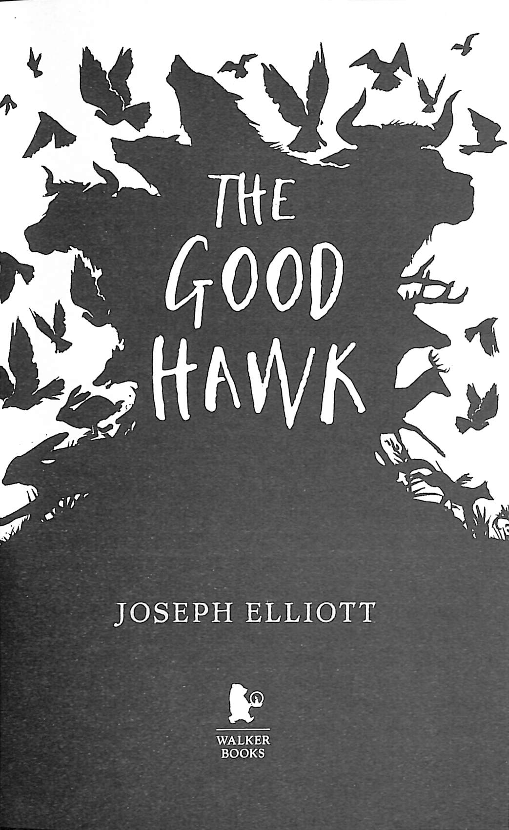 The Good Hawk (Shadow Skye, Book One)