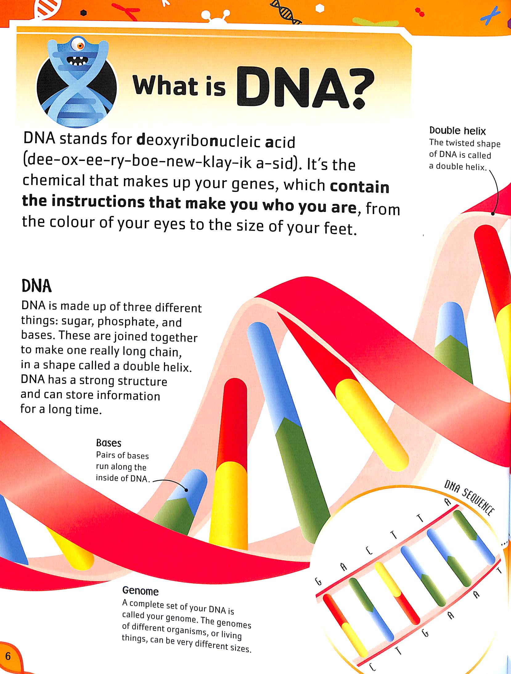 The DNA book by DK (9780241411018) | BrownsBfS