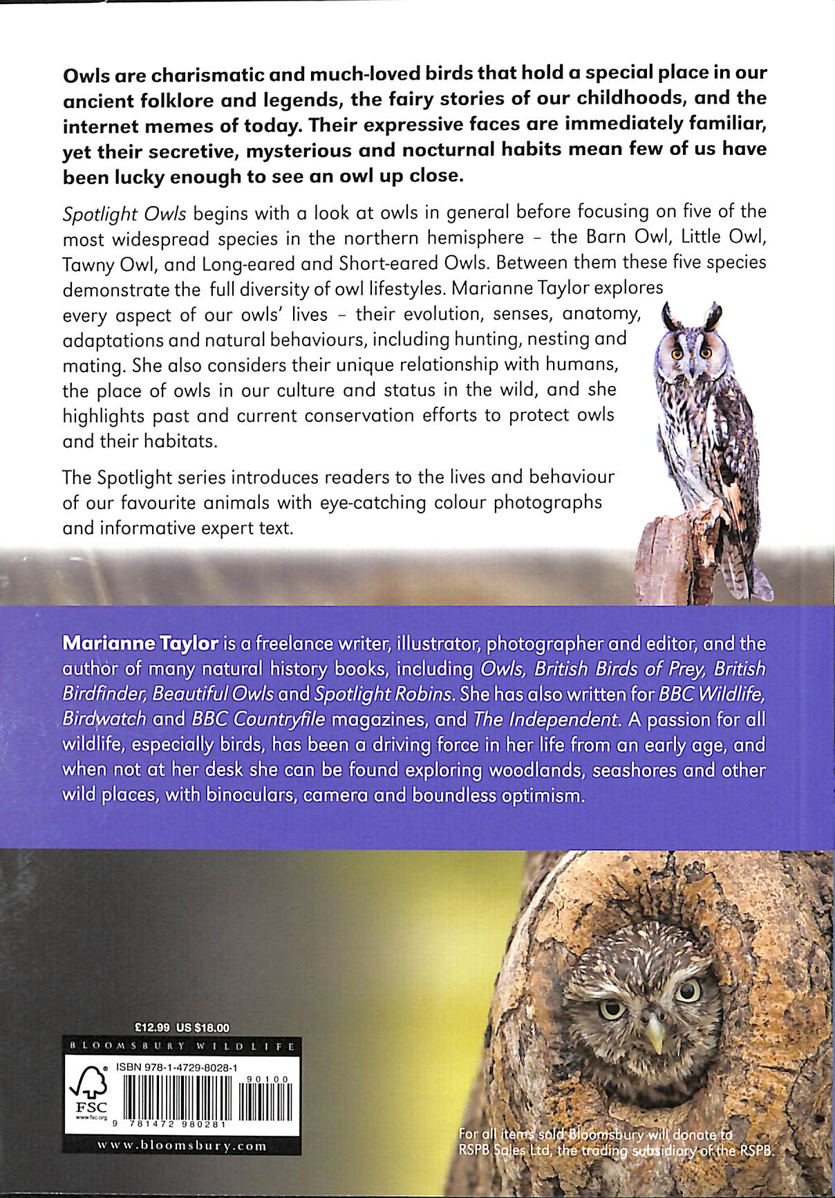 RSPB Spotlight Owls by Taylor, Marianne (9781472980281) | Browns Books