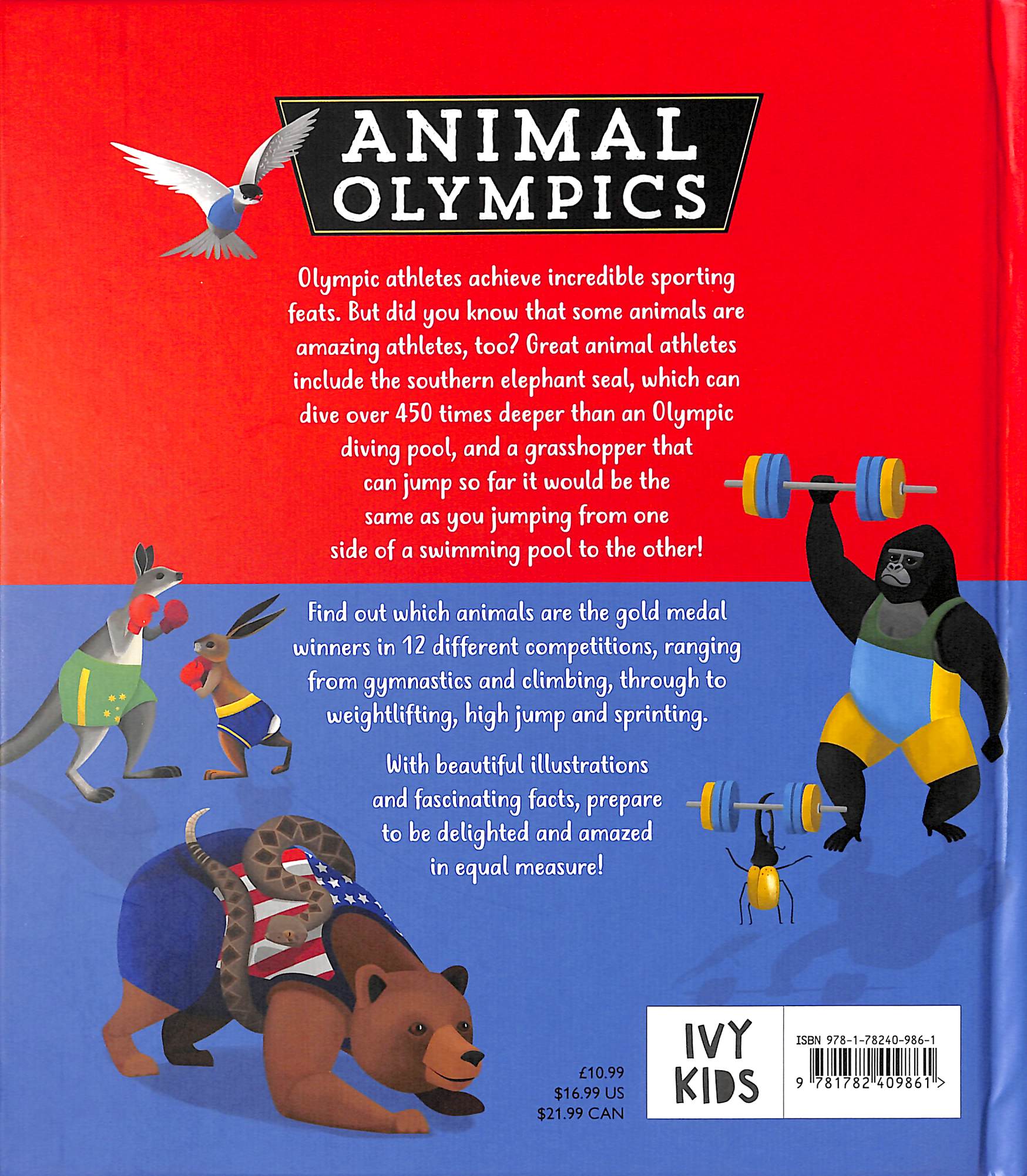 Animal Olympics by Carron Brown (9781782409861) | Browns Books