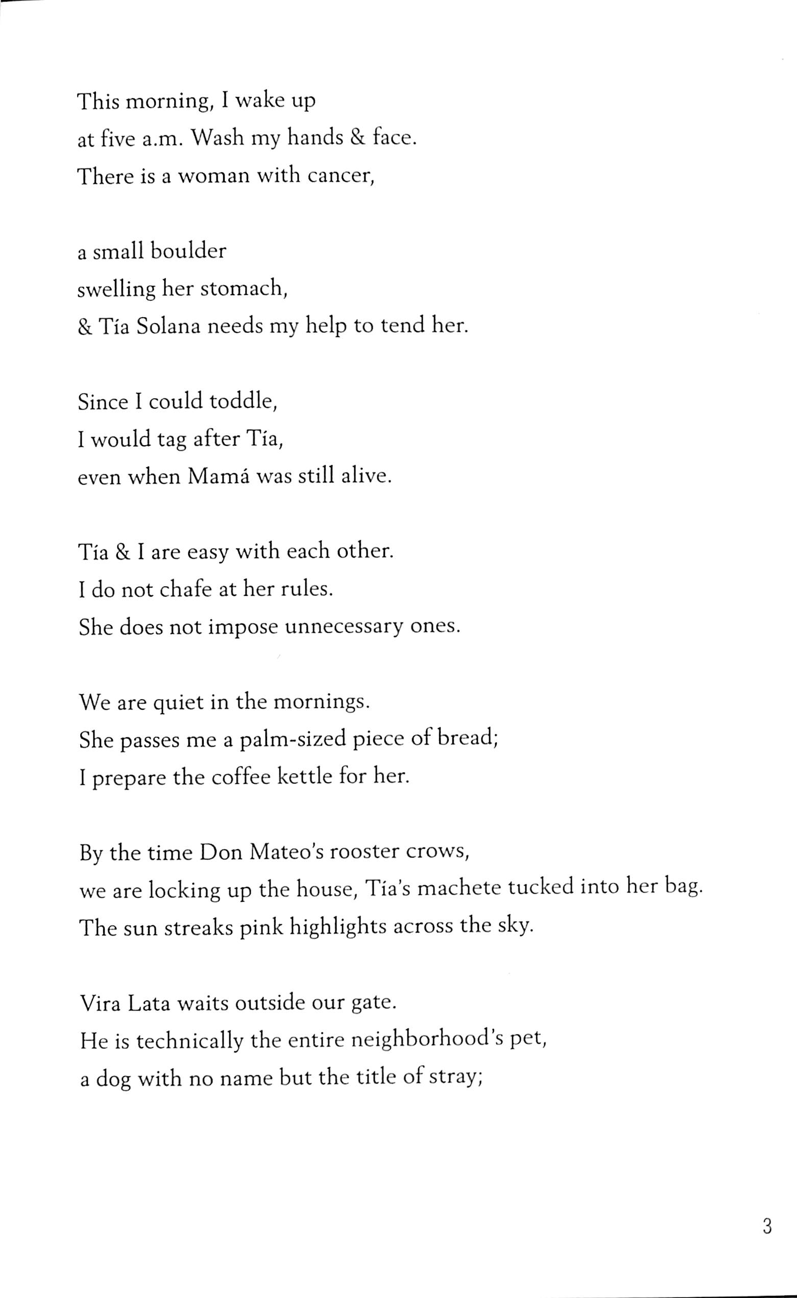 Clap when you land by Acevedo, Elizabeth (9781471409127) | BrownsBfS